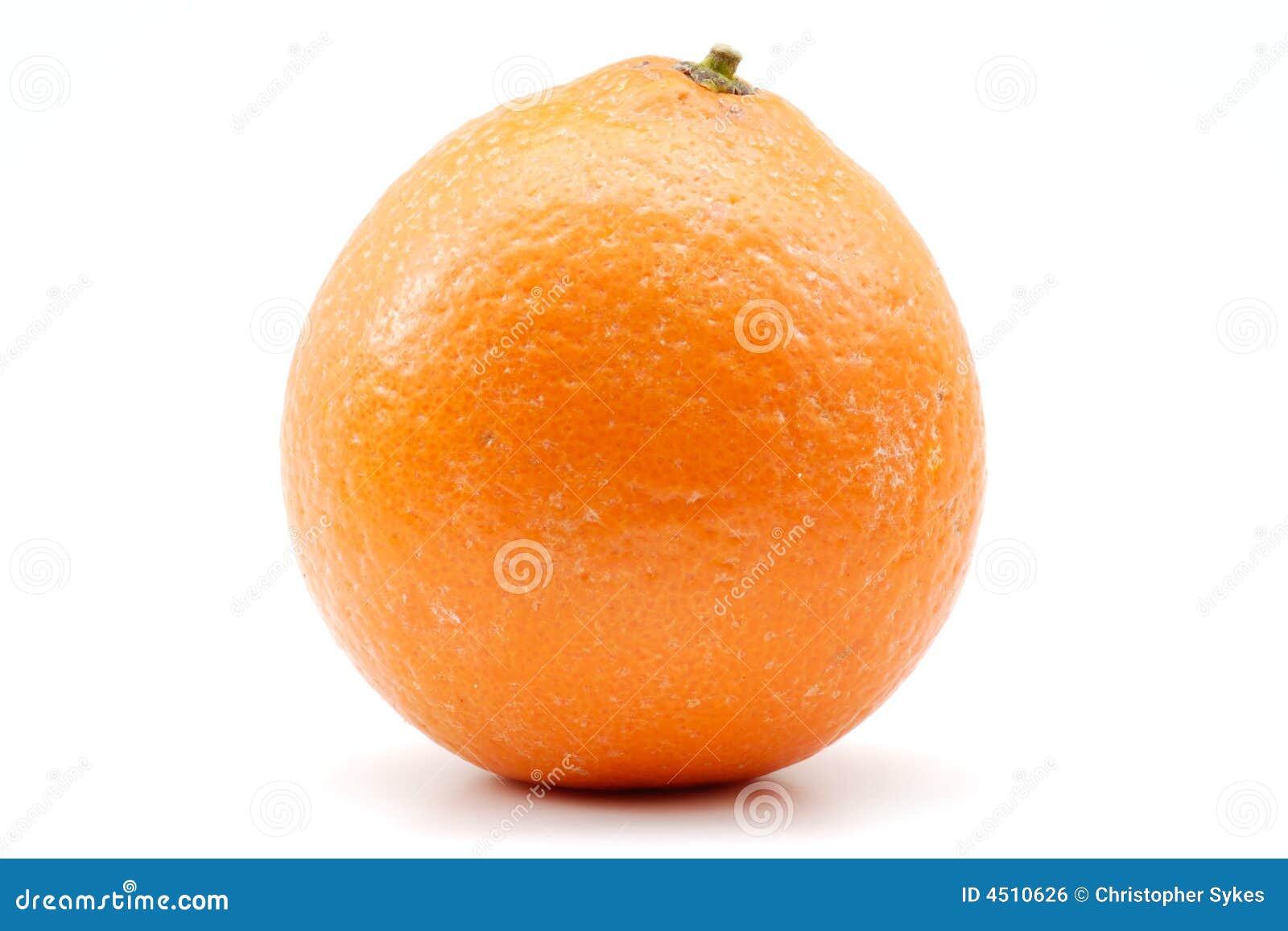 Tangelo isolated on white stock photo. Image of tangelo - 4510626