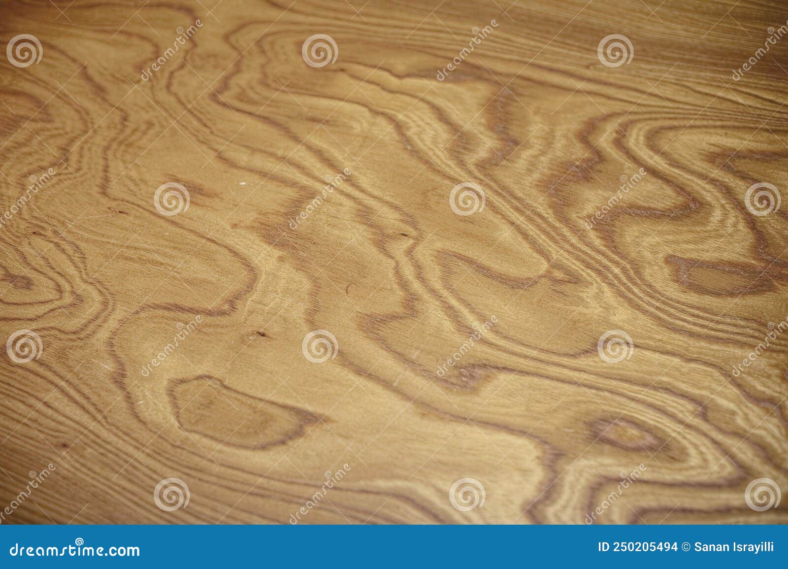 Tangential wood grain stock photo. Image of wood, texture - 250205494