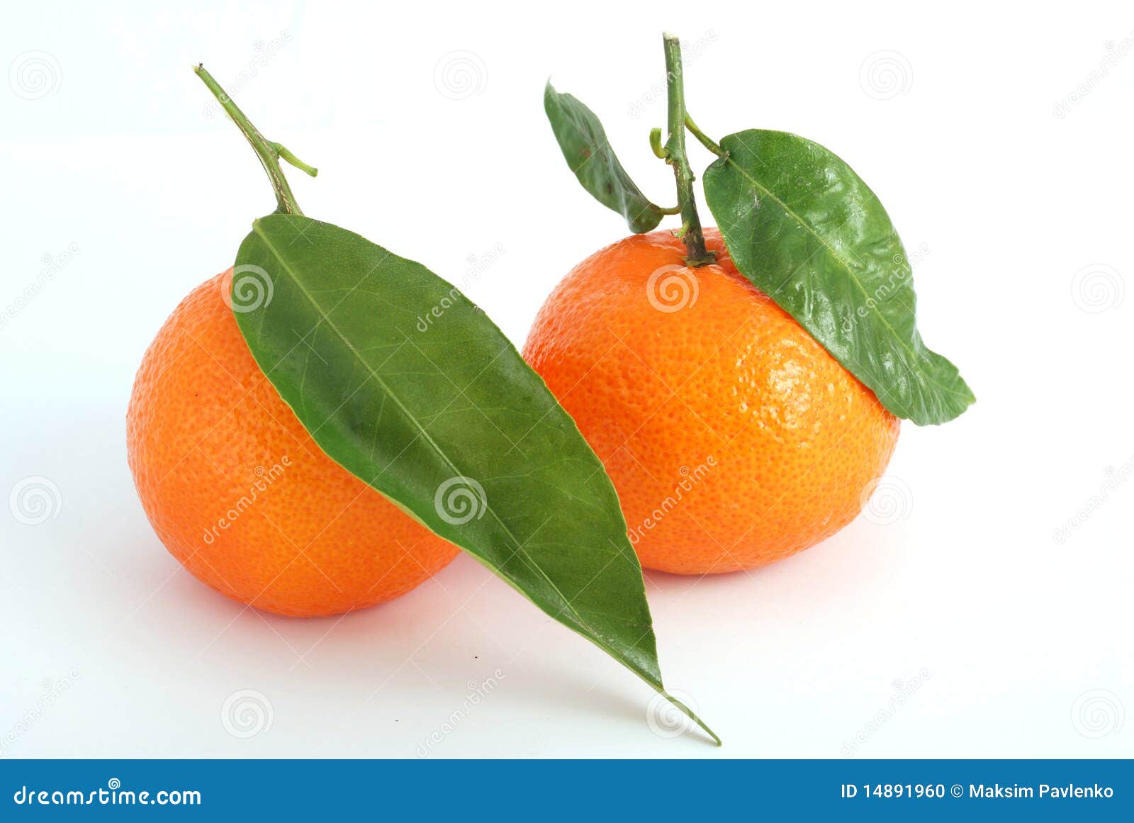 Tangerine stock photo. Image of summer, macro, nature - 14891960