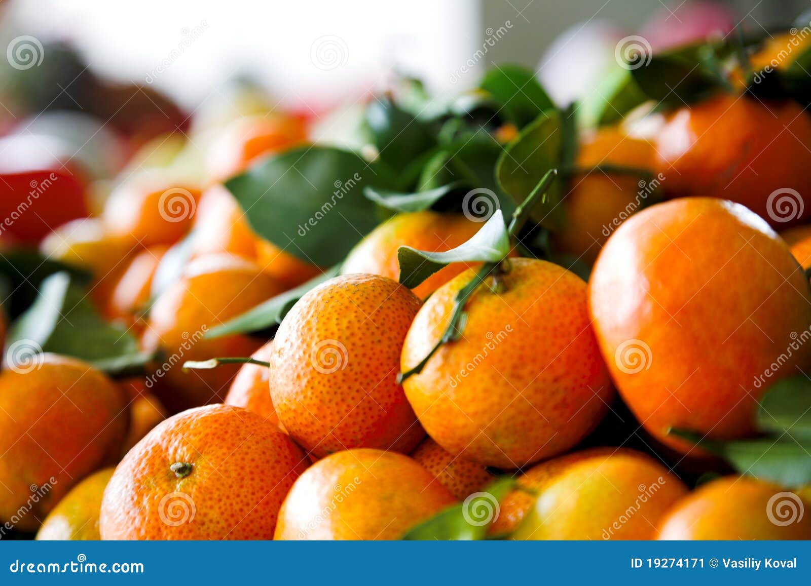 Tangerine stock image. Image of ripe, background, food - 19274171
