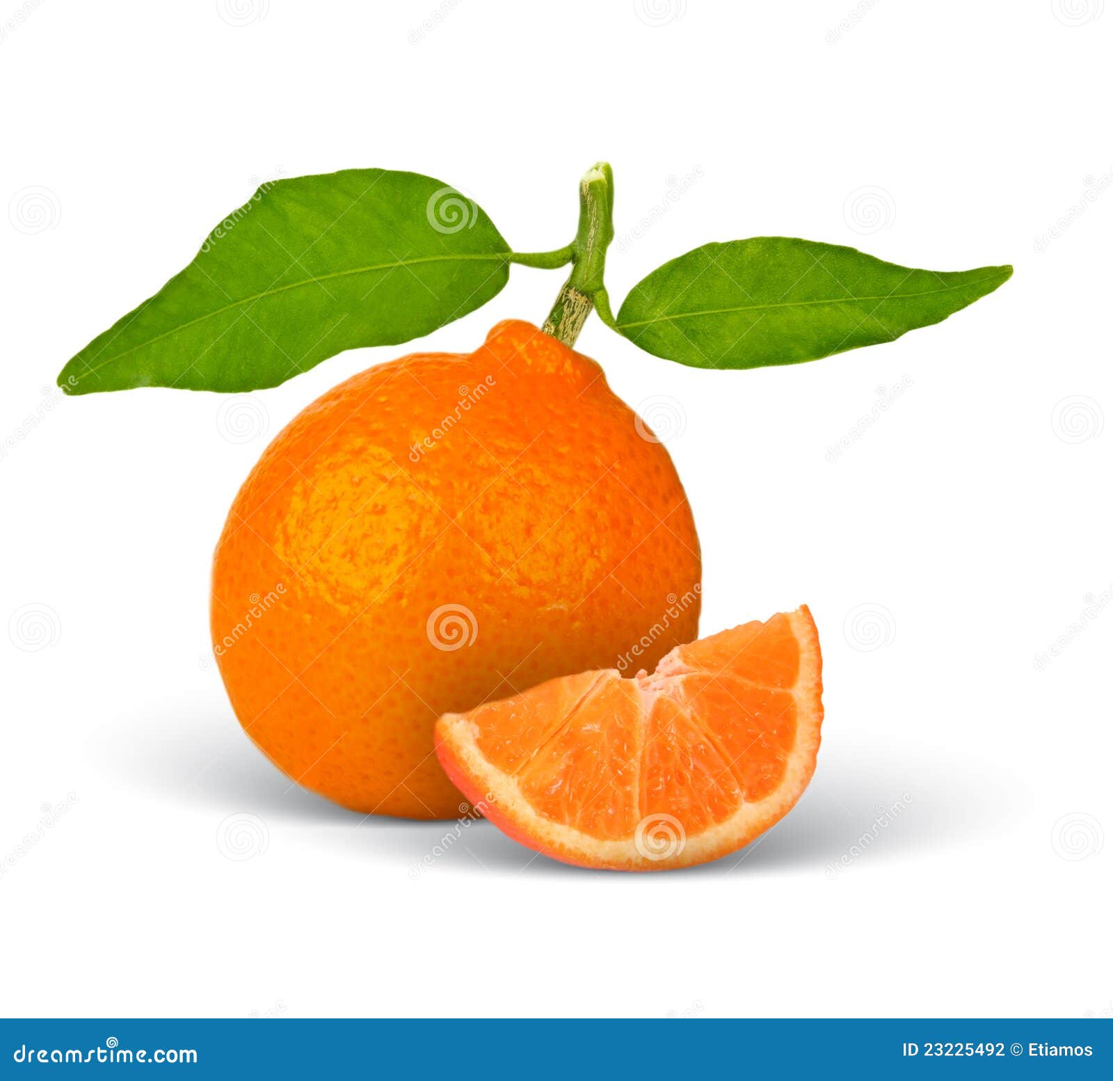 Tangerine stock photo. Image of juicy, exotic, crop, dieting - 23225492