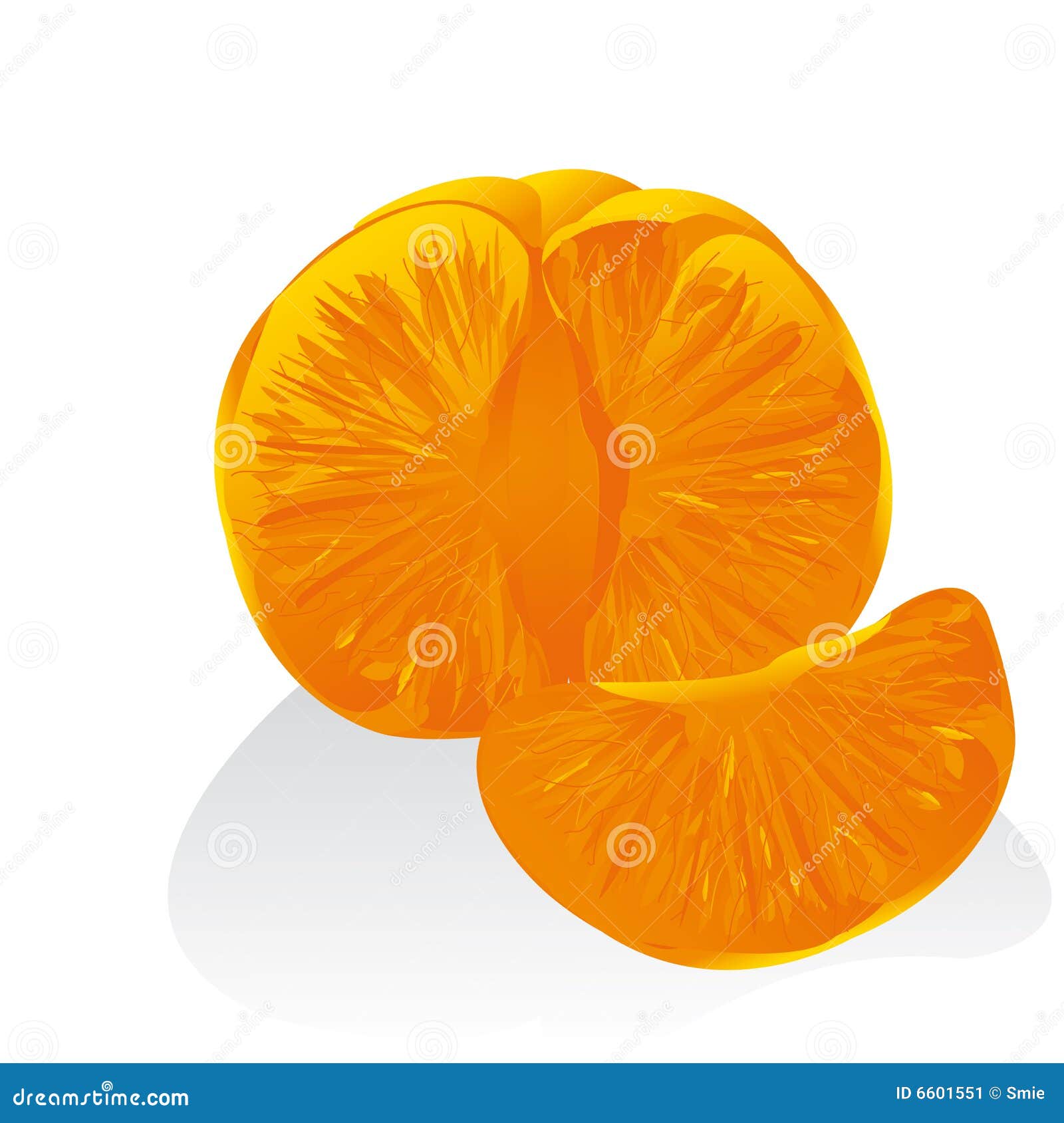 Tangerine stock vector. Illustration of citrus, fruit - 6601551