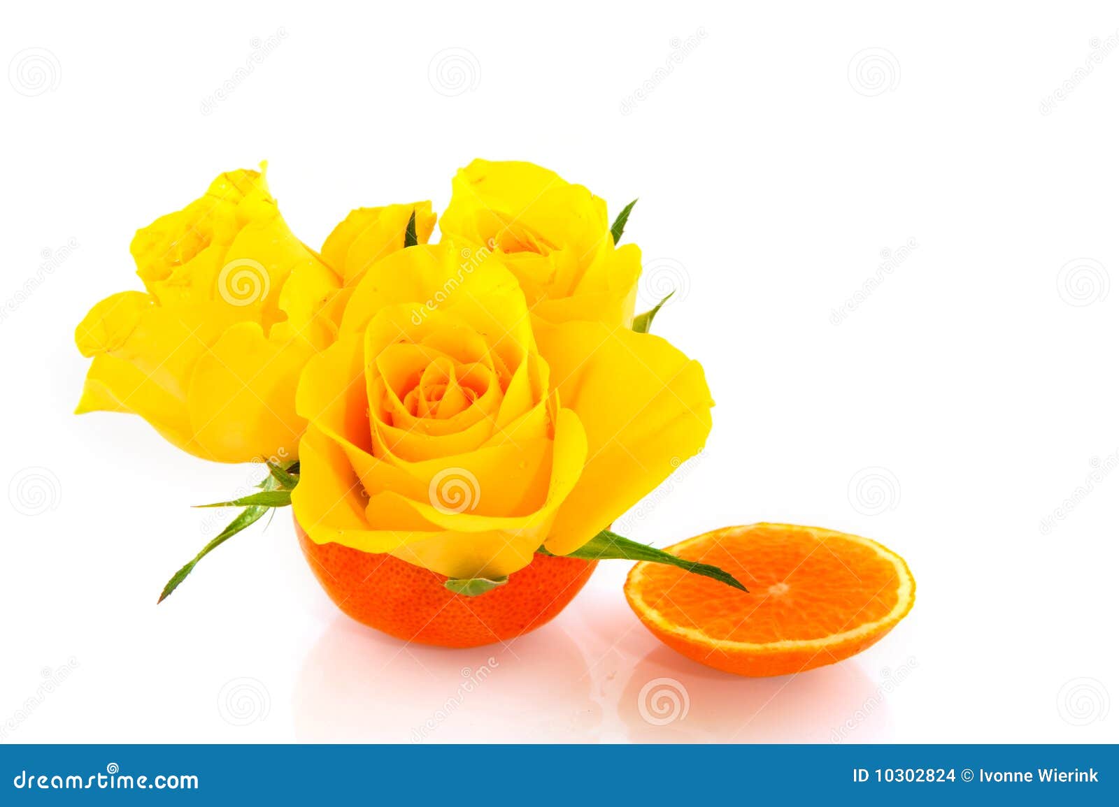 Tangerine with flowers stock photo. Image of funny, flowers - 10302824