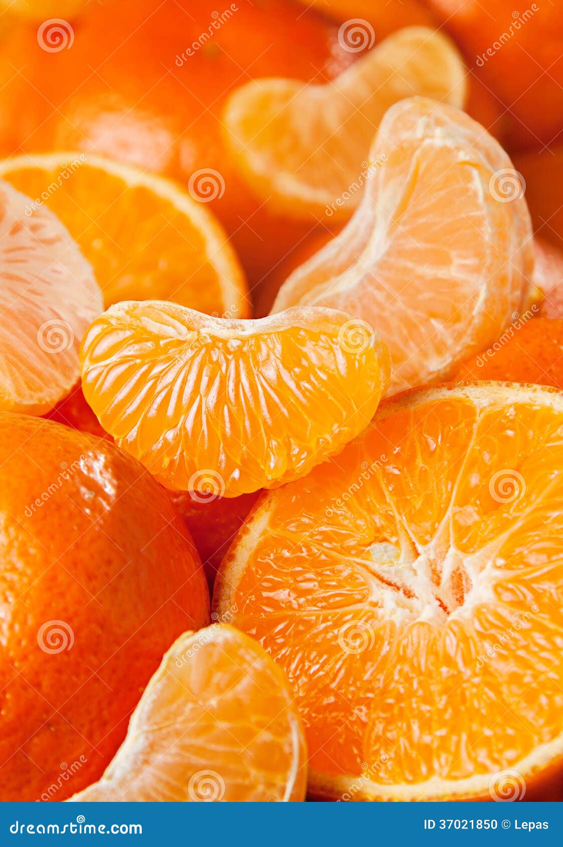 Tangerine Fruit Stock Photo | CartoonDealer.com #3621864