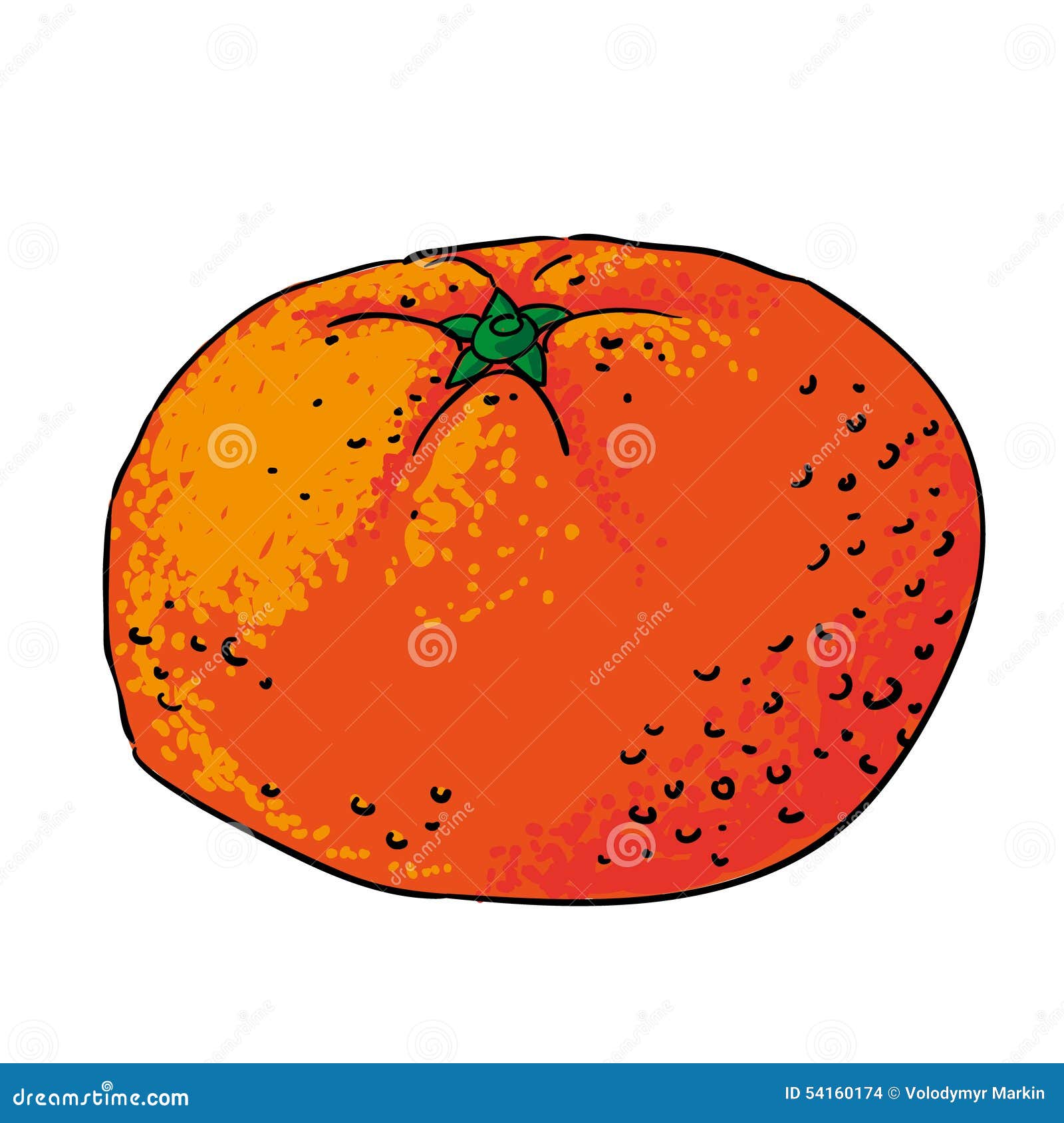 Tangerine Hand Drawn Fruits Isolated Stock Illustration - Illustration ...