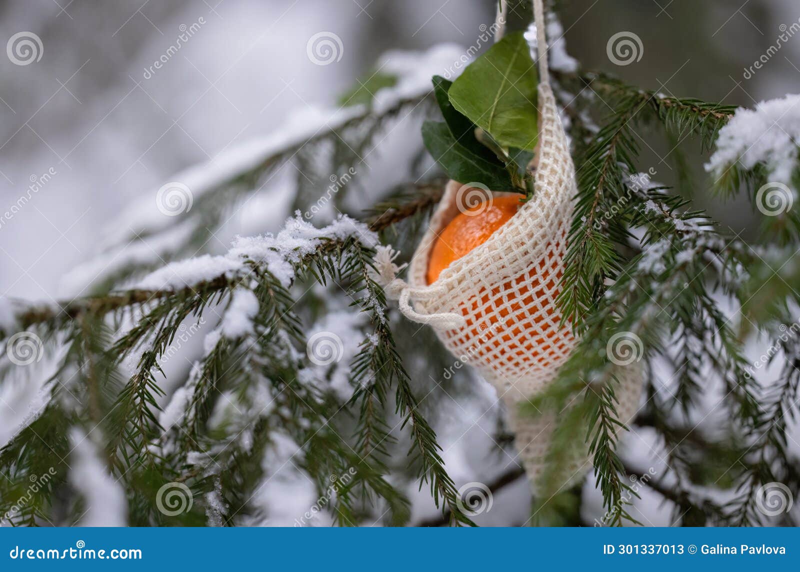 A Tangerine in a Handmade Woven Net on a Christmas Tree in the Forest ...
