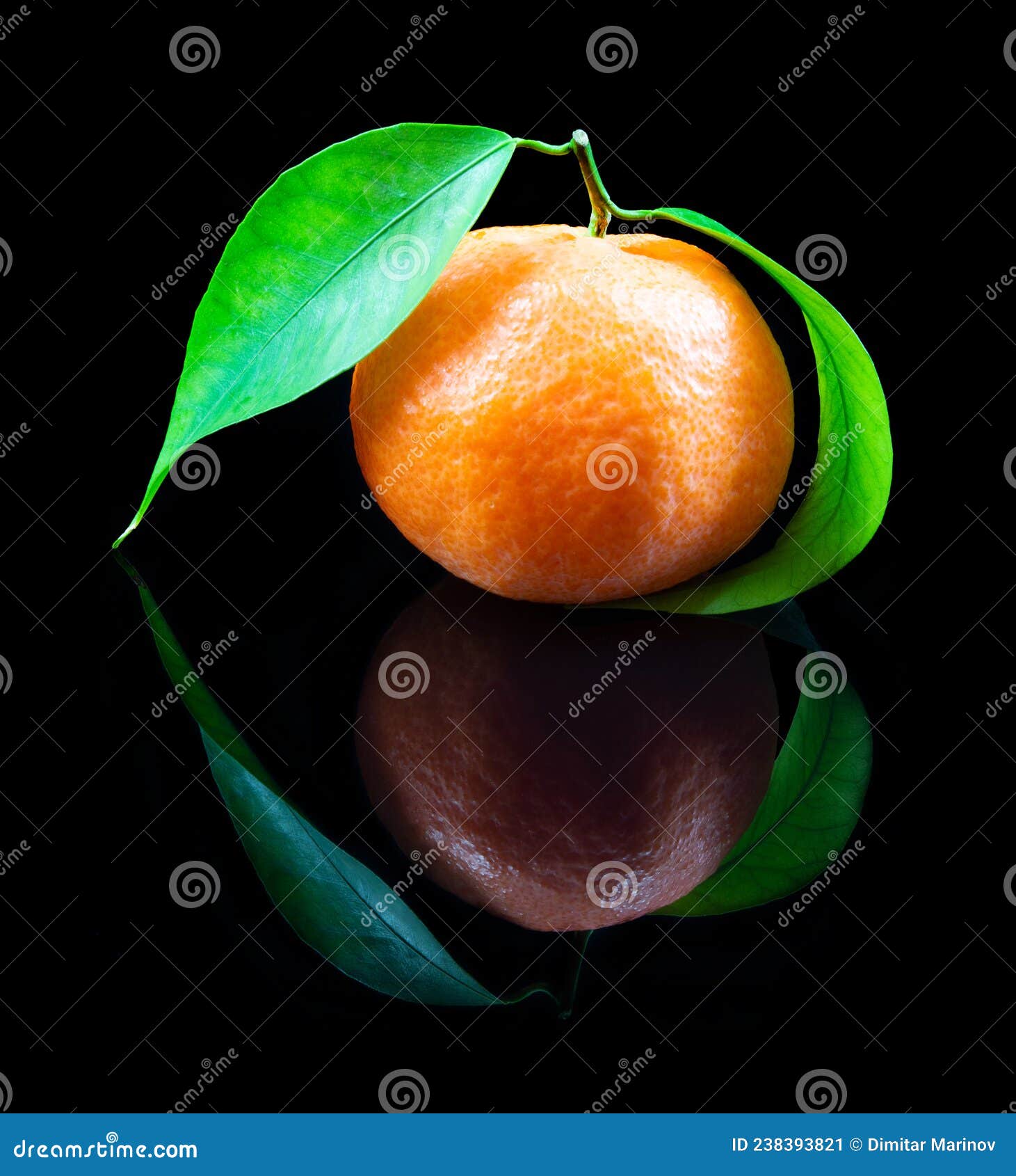 Tangerine stock image. Image of health, leaves, black - 238393821