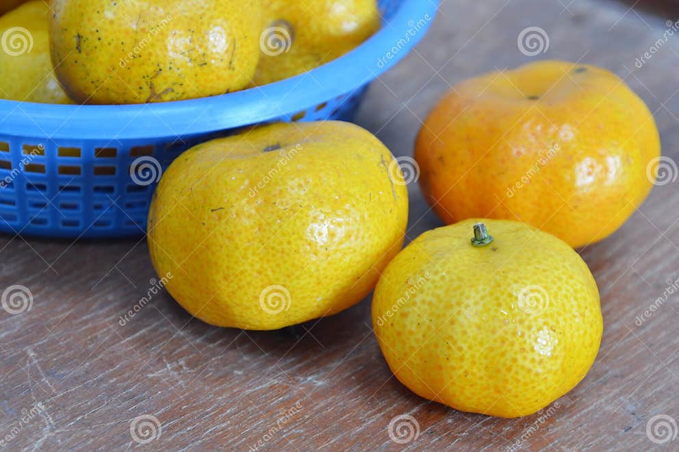 Tangerine Seedless on Blue Basket Stock Photo - Image of small ...