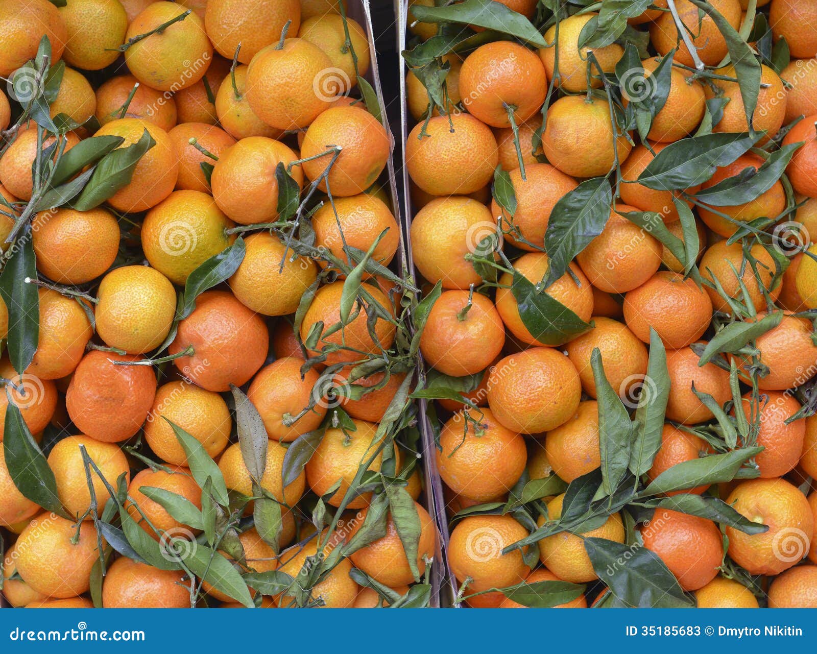 Tangerines in the box stock image. Image of store, citrus - 35185683
