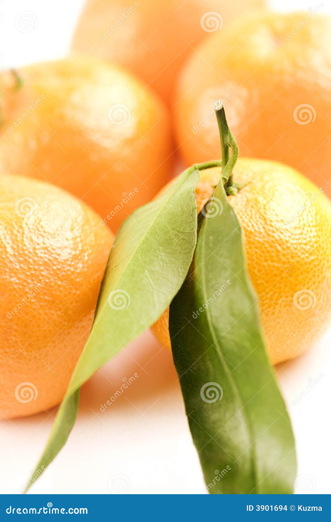 Tangerines in close up stock photo. Image of fresh, orange - 3901694