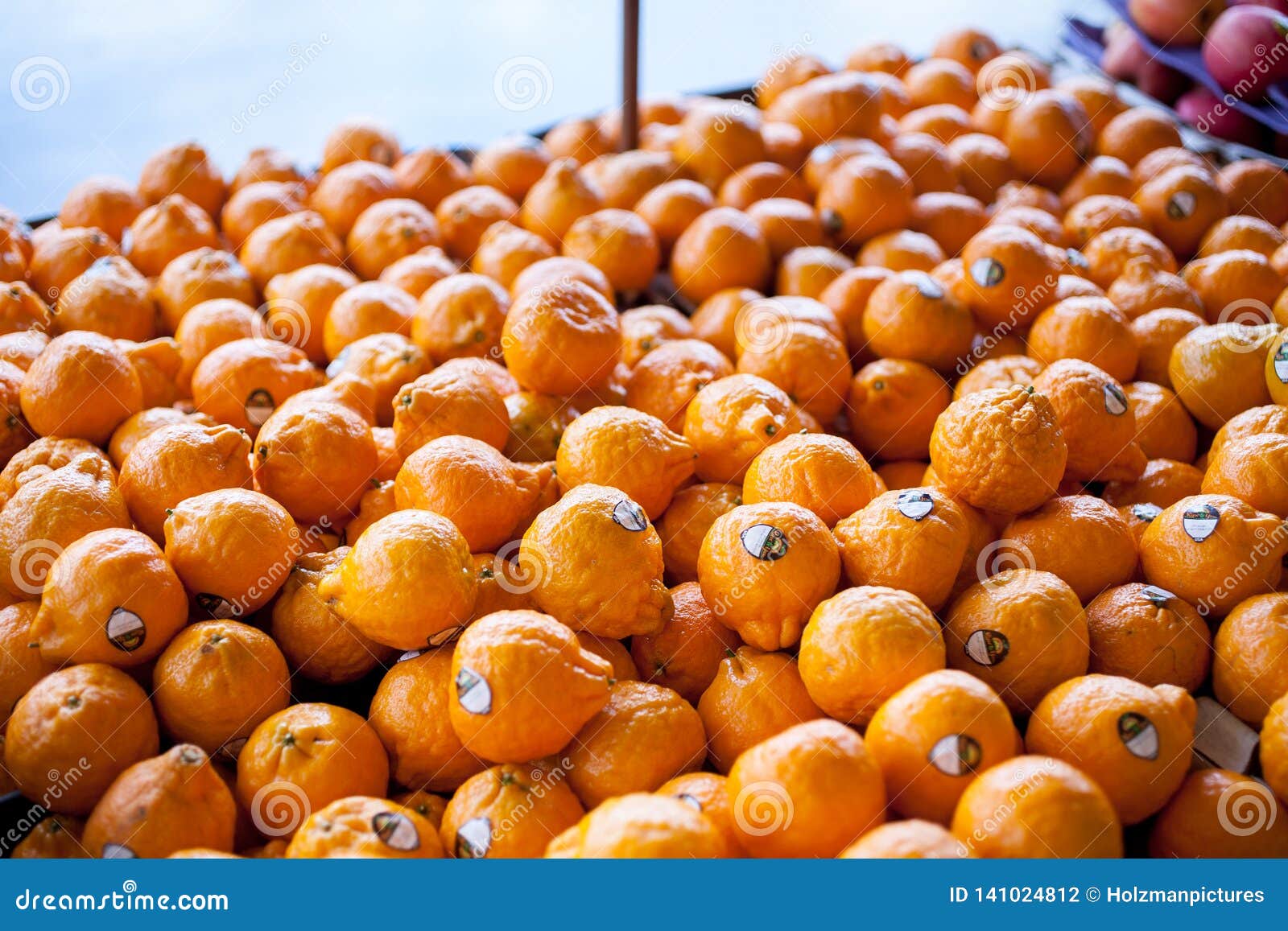 Orange Tangerines on Display Stock Photo - Image of pile, supermarket ...