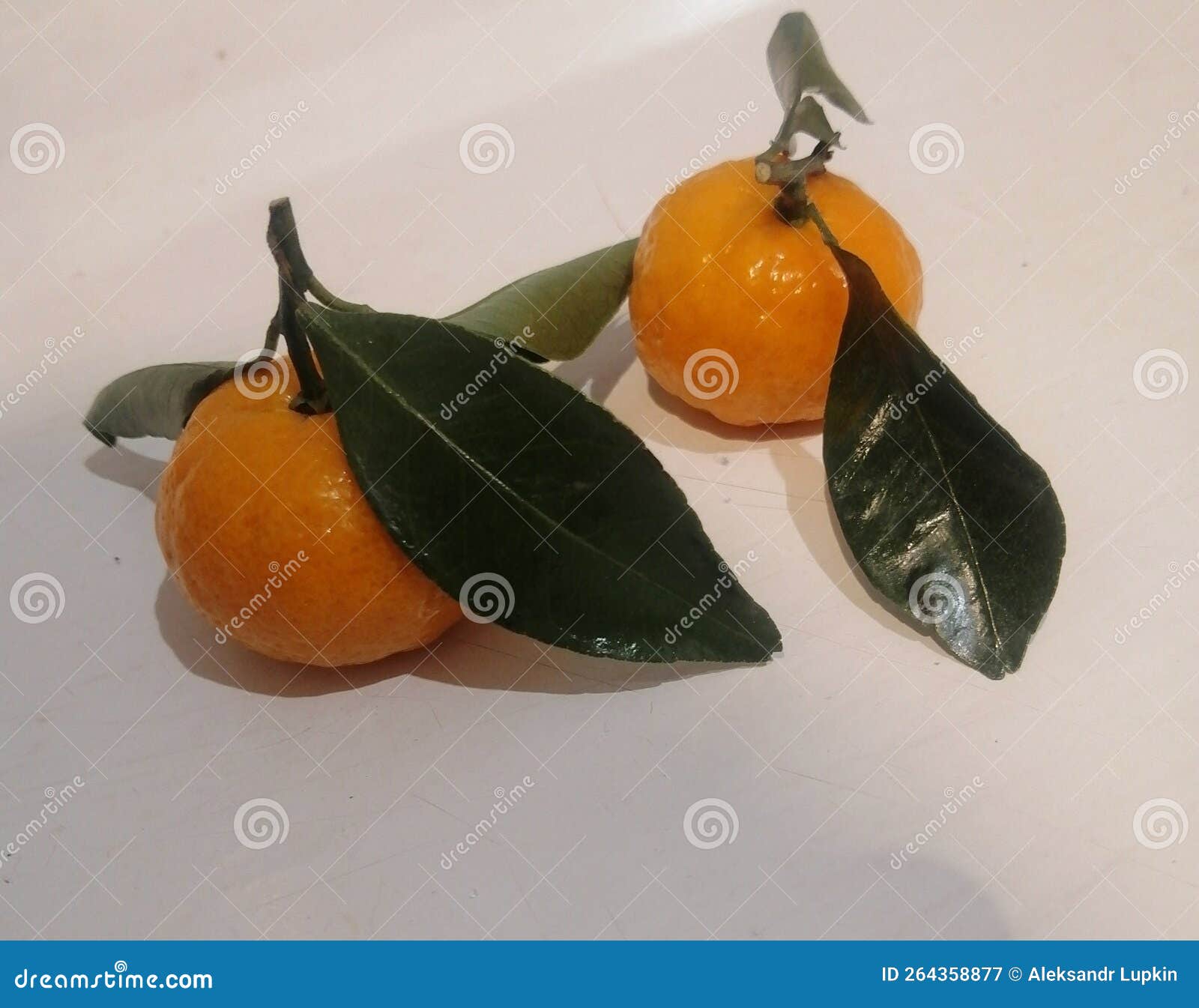 Tangerines with Green Leaves on the Light Background Stock Image ...