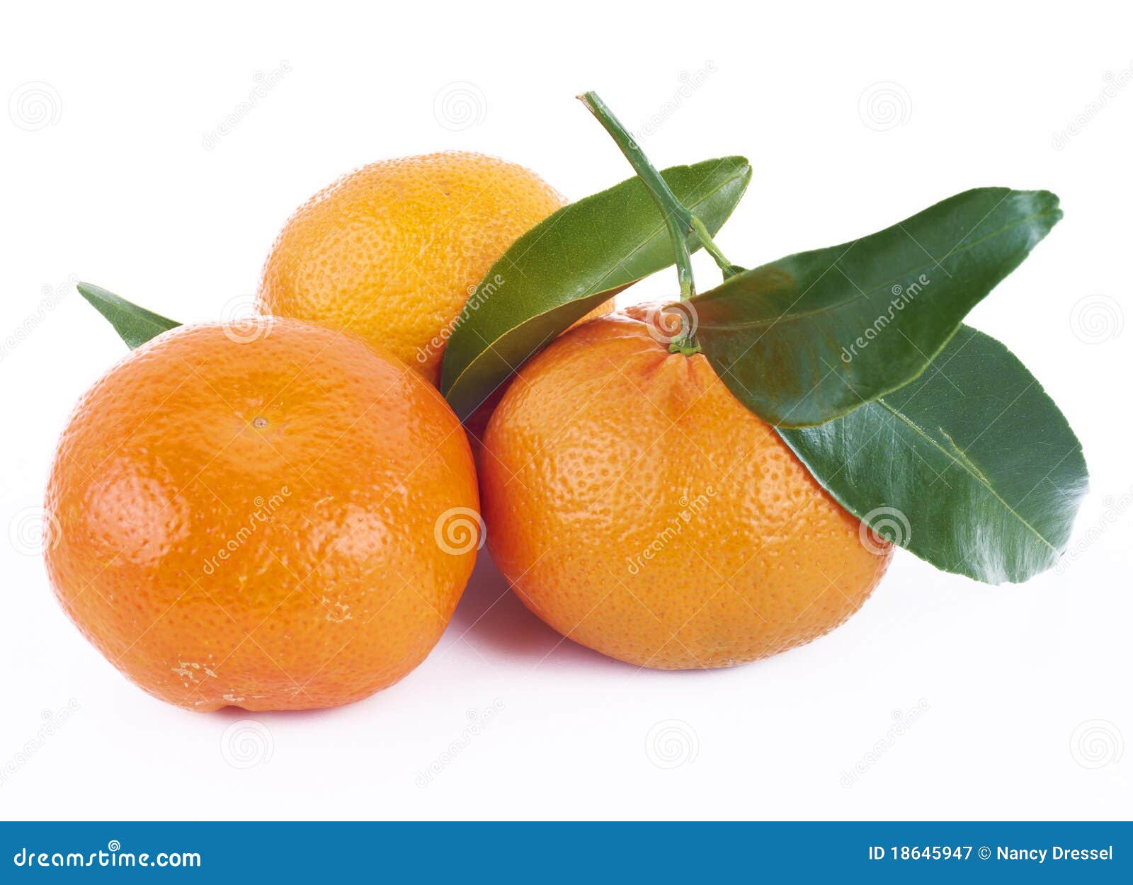 Tangerines with leafs stock image. Image of diet, display - 18645947