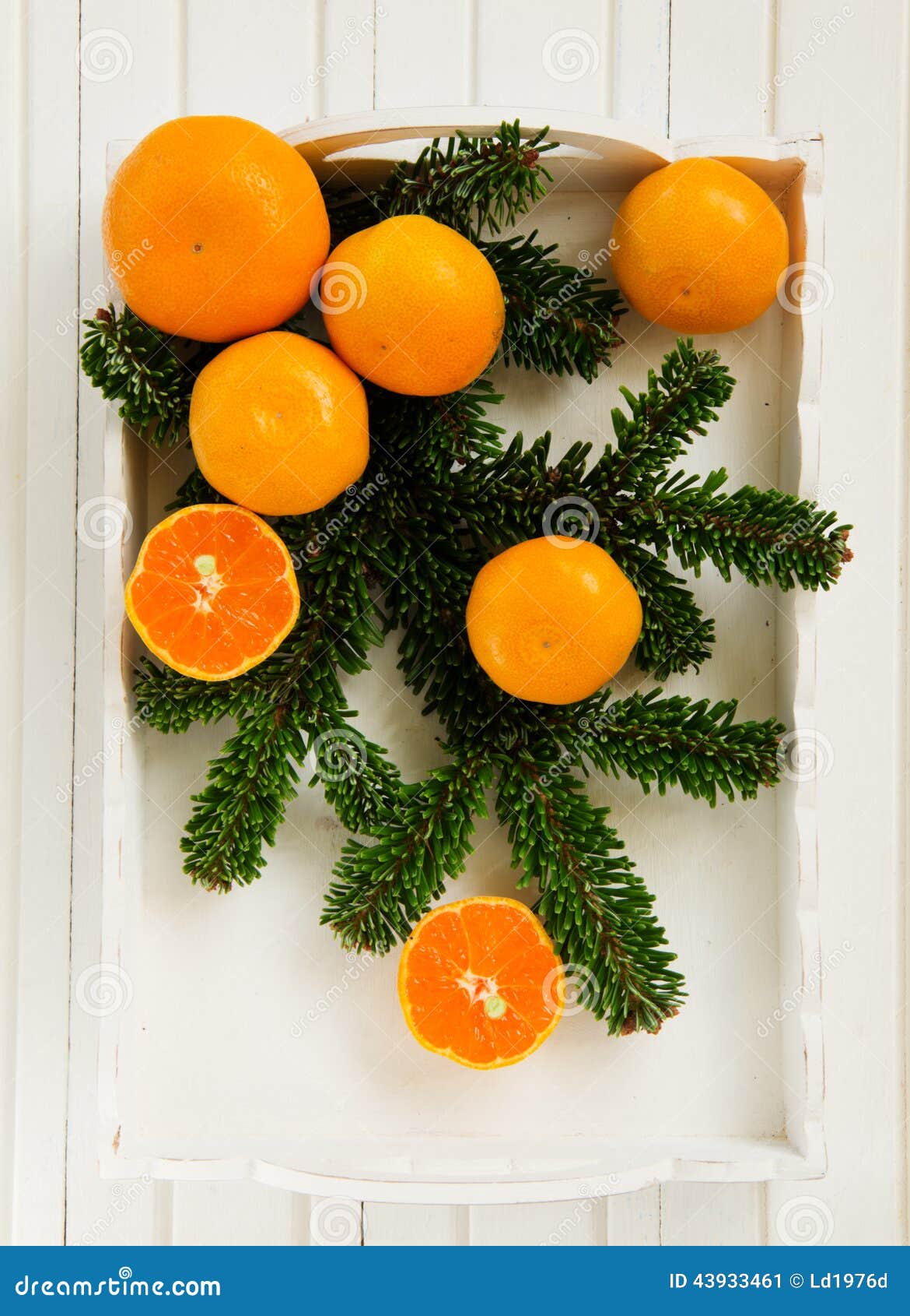 Tangerines stock image. Image of view, branch, dessert - 43933461