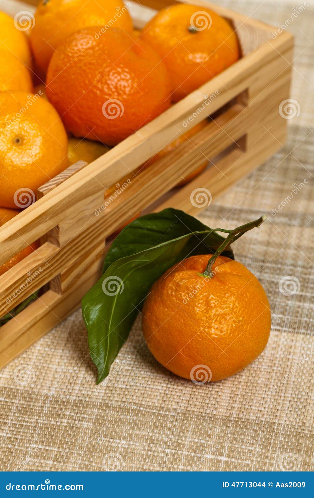 Tangerines stock photo. Image of table, selective, dessert - 47713044