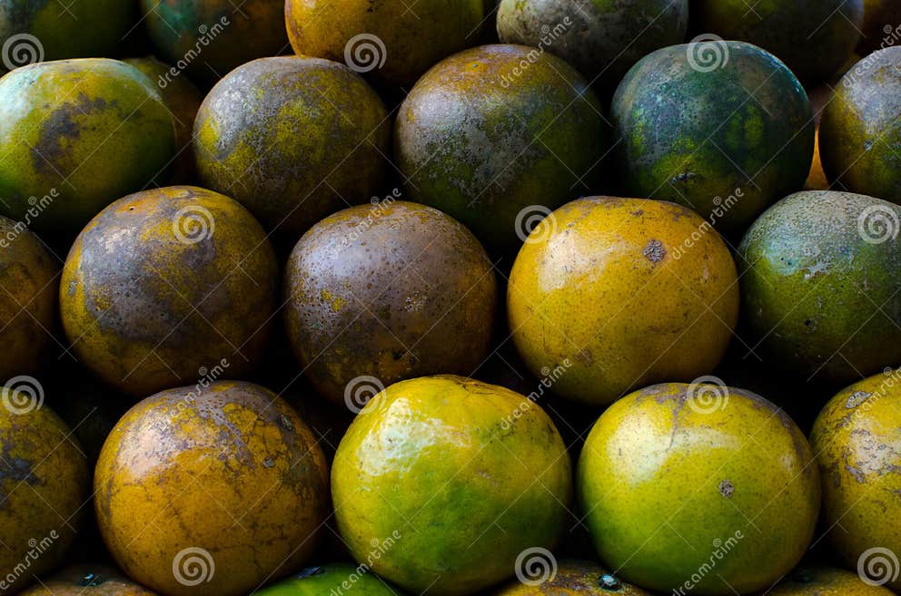 Tangerines stock image. Image of fruit, flora, import - 49402889