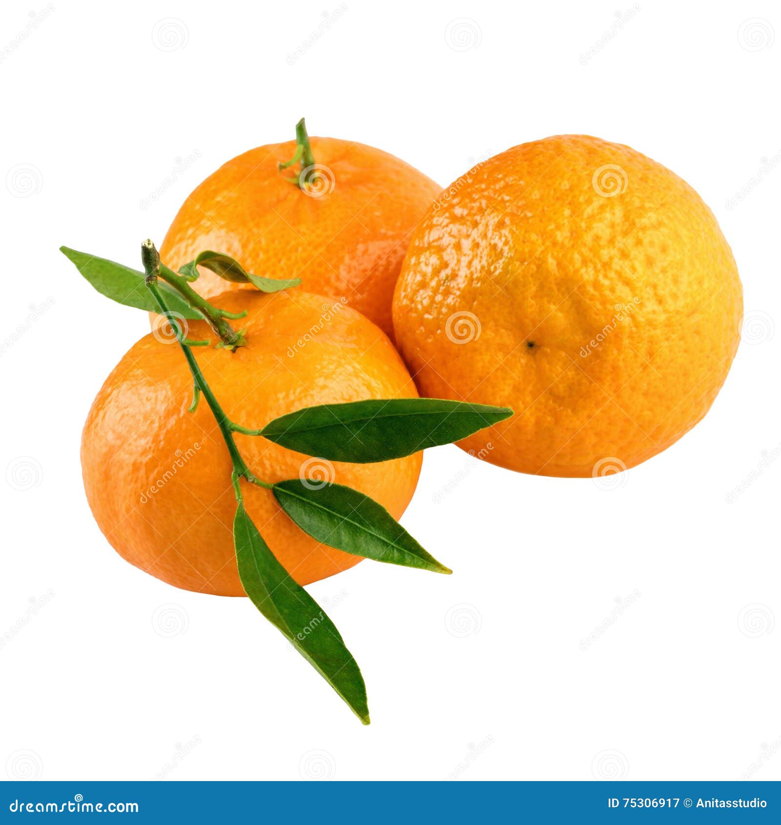 Tangerines Three Mandarin Isolated on White Stock Image - Image of ...
