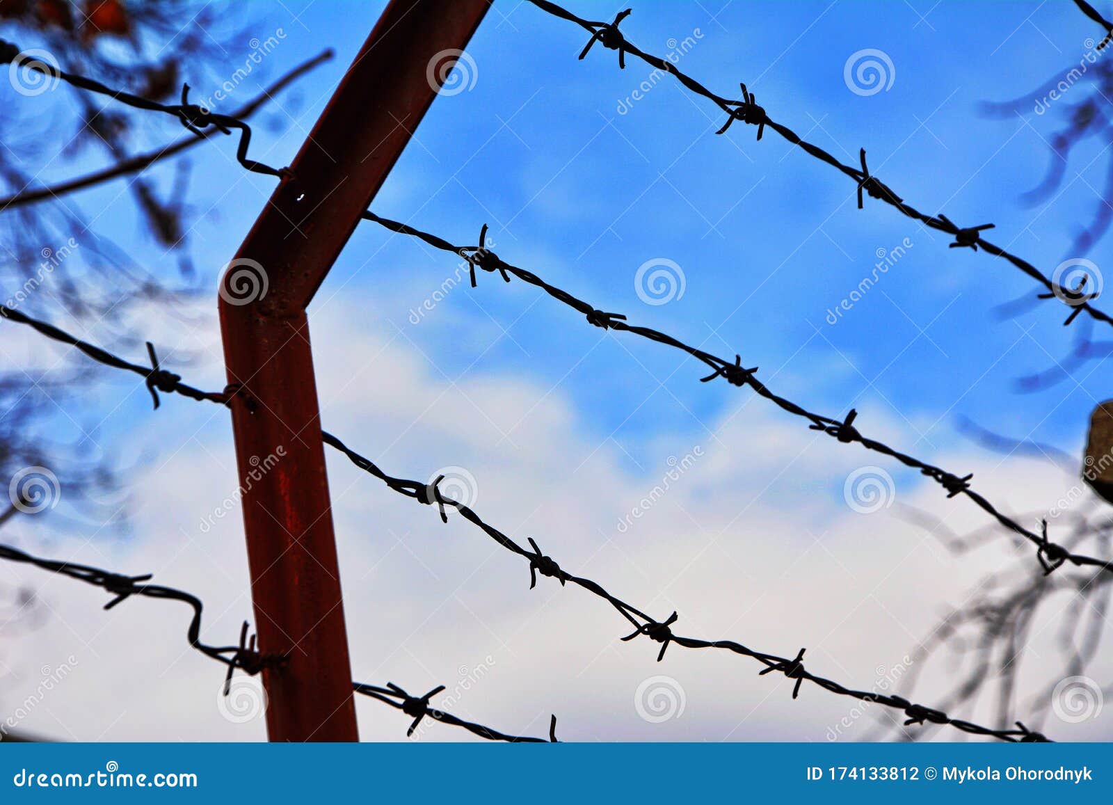The Tangle Barb with Blue Sky Stock Photo - Image of barbed, light ...