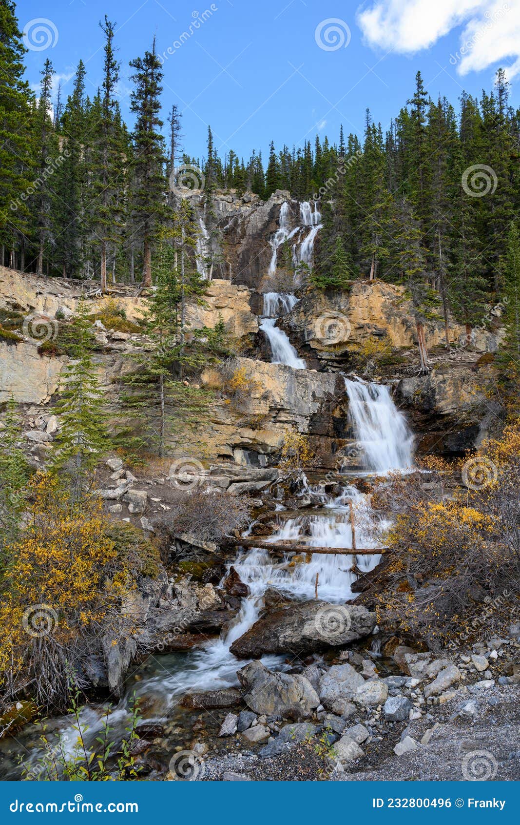 Tangle Creek Falls in Jasper National Park Stock Photo - Image of ...