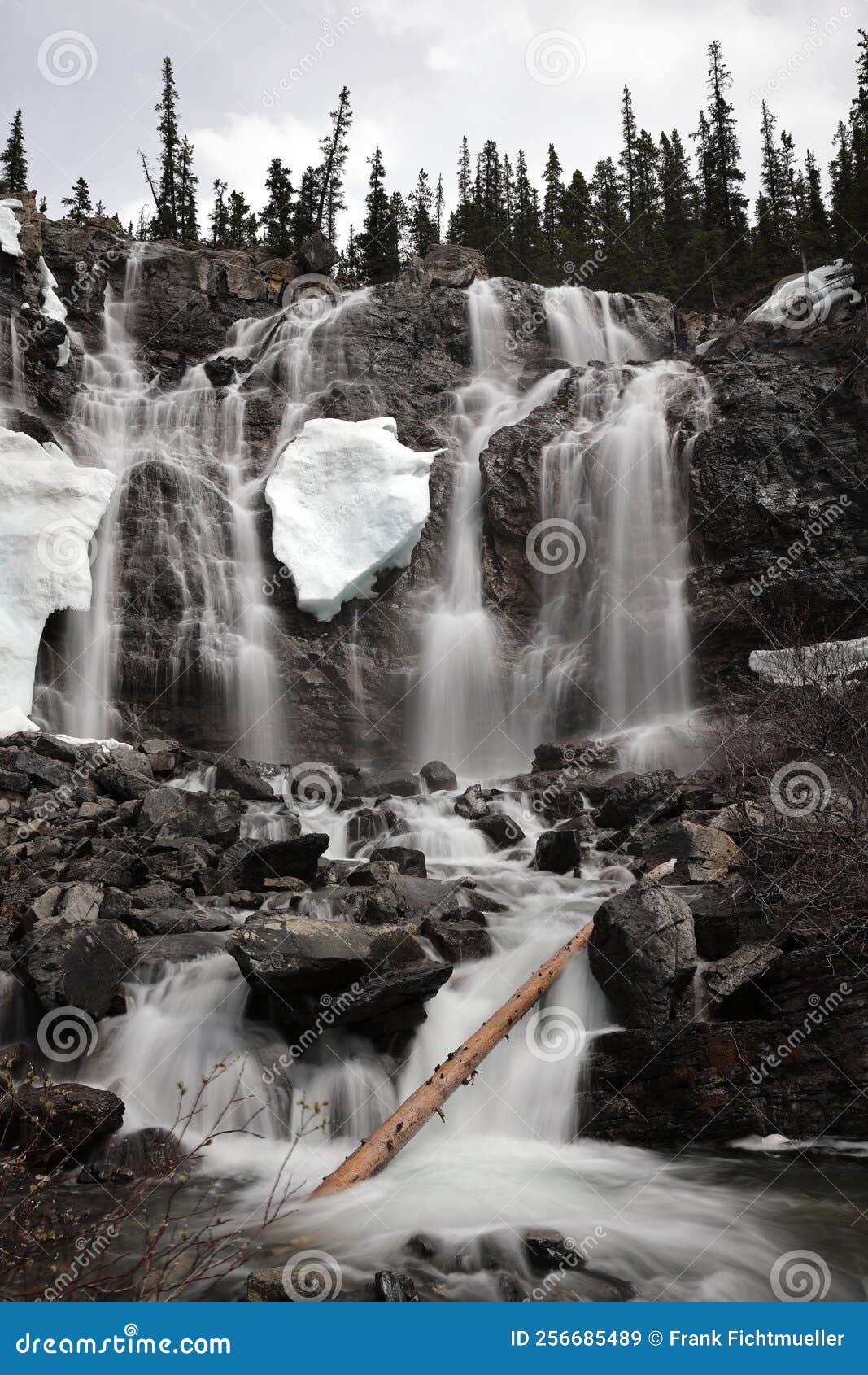 Tangle Creek Falls in Jasper National Park, Alberta, Canada Stock Image ...