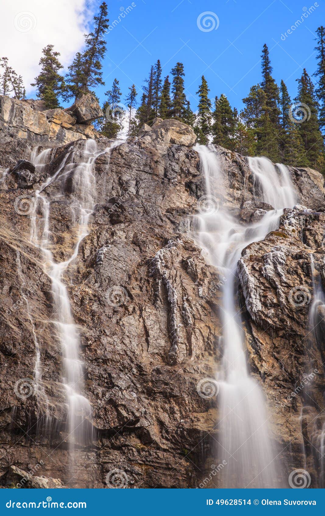 Tangle Falls stock photo. Image of forest, falls, jasper - 49628514