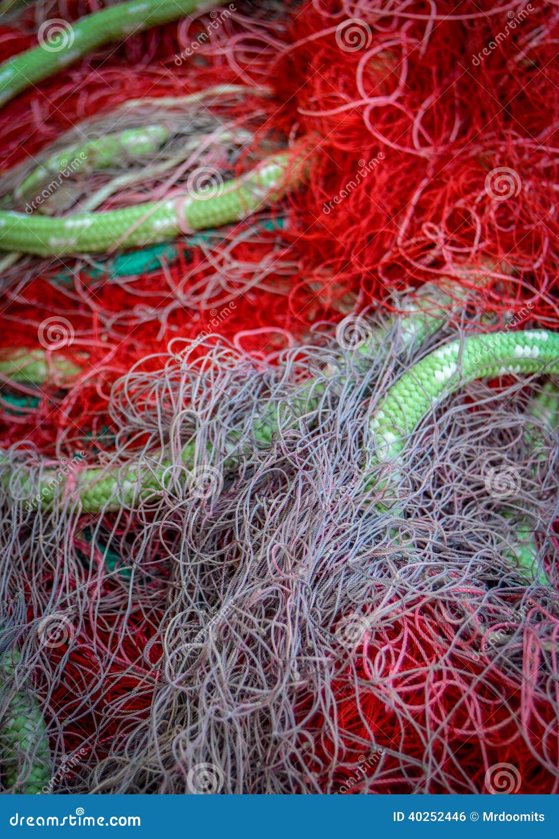 Tangle of Fishing Nets stock photo. Image of green, coast - 40252446