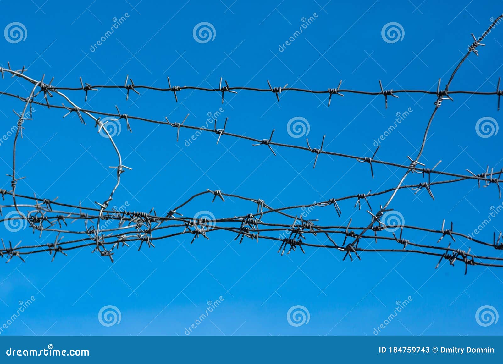 Tangled Barbed Wire with Blue Sky Background Stock Image - Image of ...
