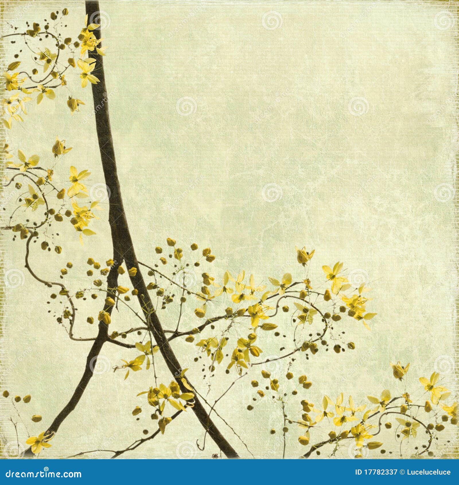 Tangled Blossom Border Background Royalty-Free Stock Photography ...