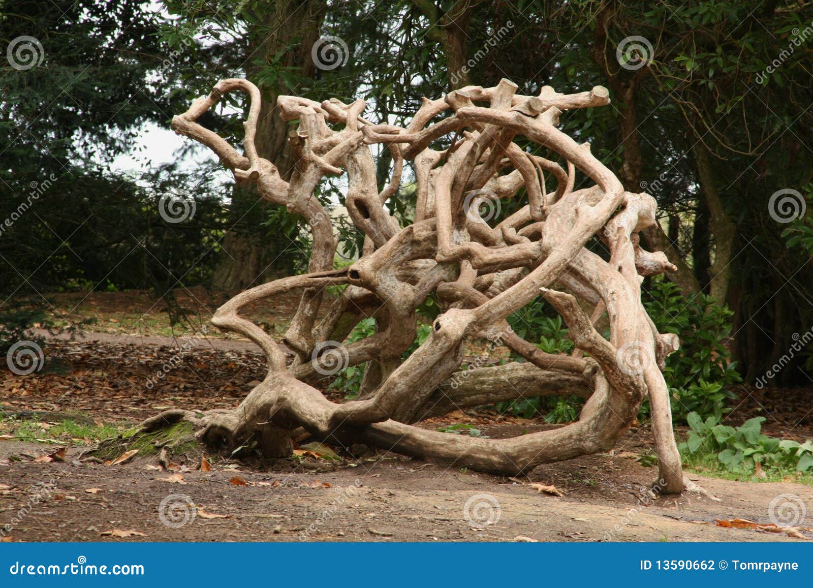 Tangled Branches of a Dead Tree Stock Photo - Image of park, dead: 13590662