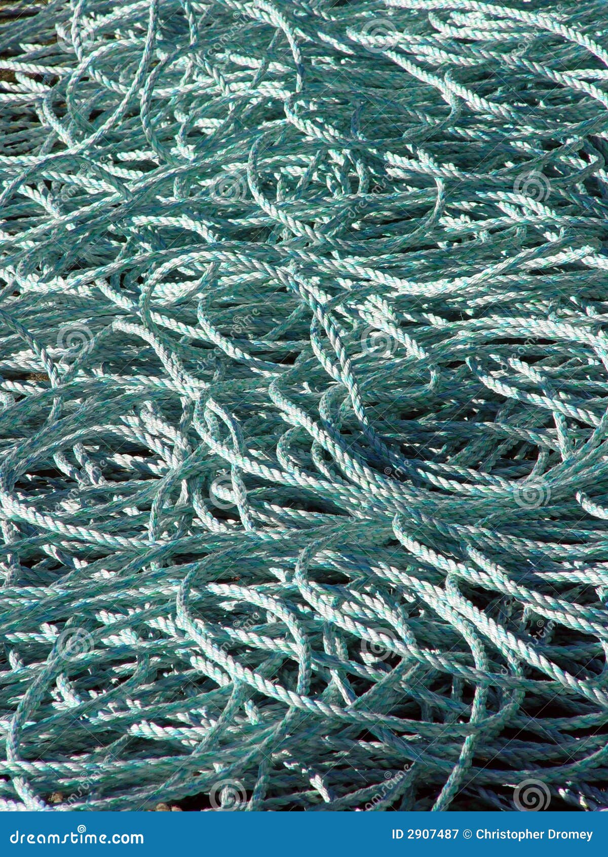 Tangled Fishing Ropes Picture. Image: 2907487