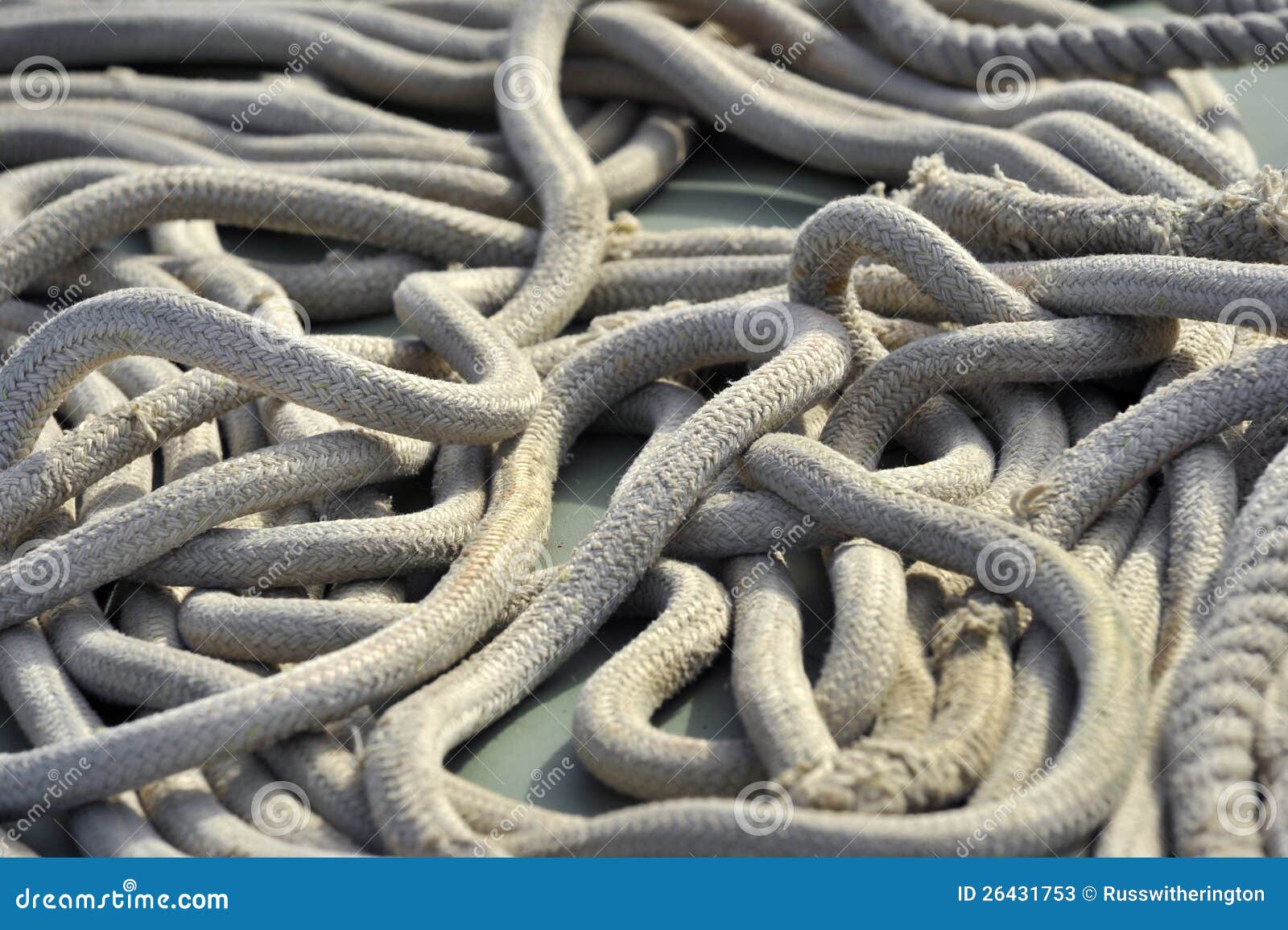 Tangled rope stock image. Image of nautical, disorder - 26431753