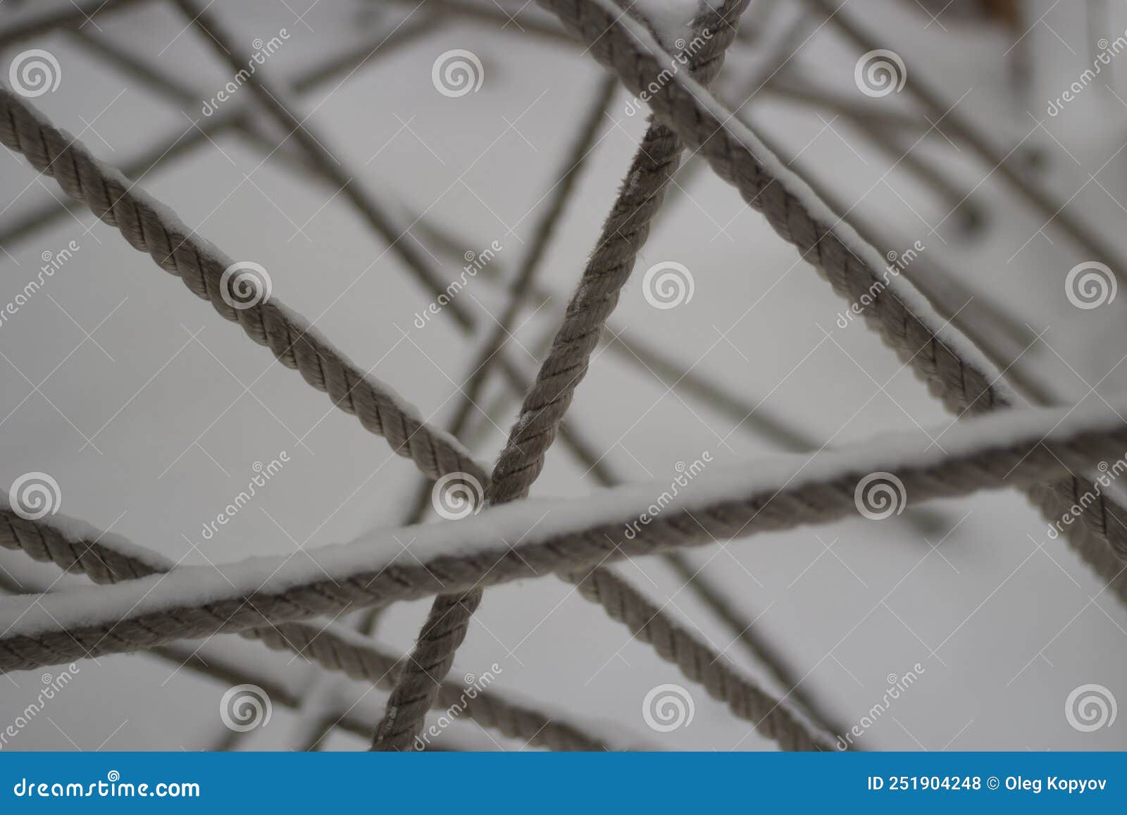 Tangled Ropes. Crossing Ropes. Texture of Thread in Snow Stock Photo ...