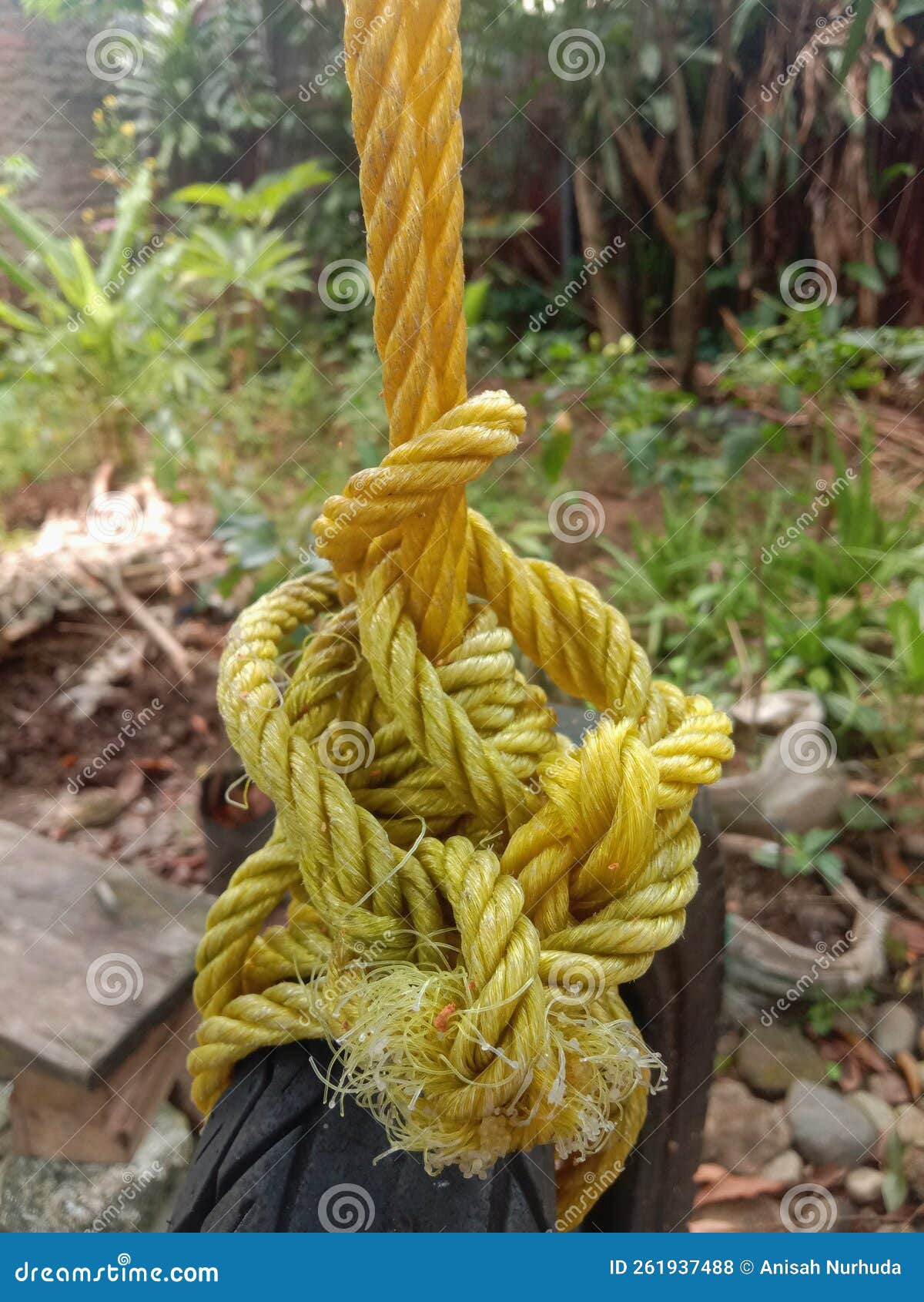 Tangled Ropes Entangled with Each Other Stock Photo - Image of ropes ...
