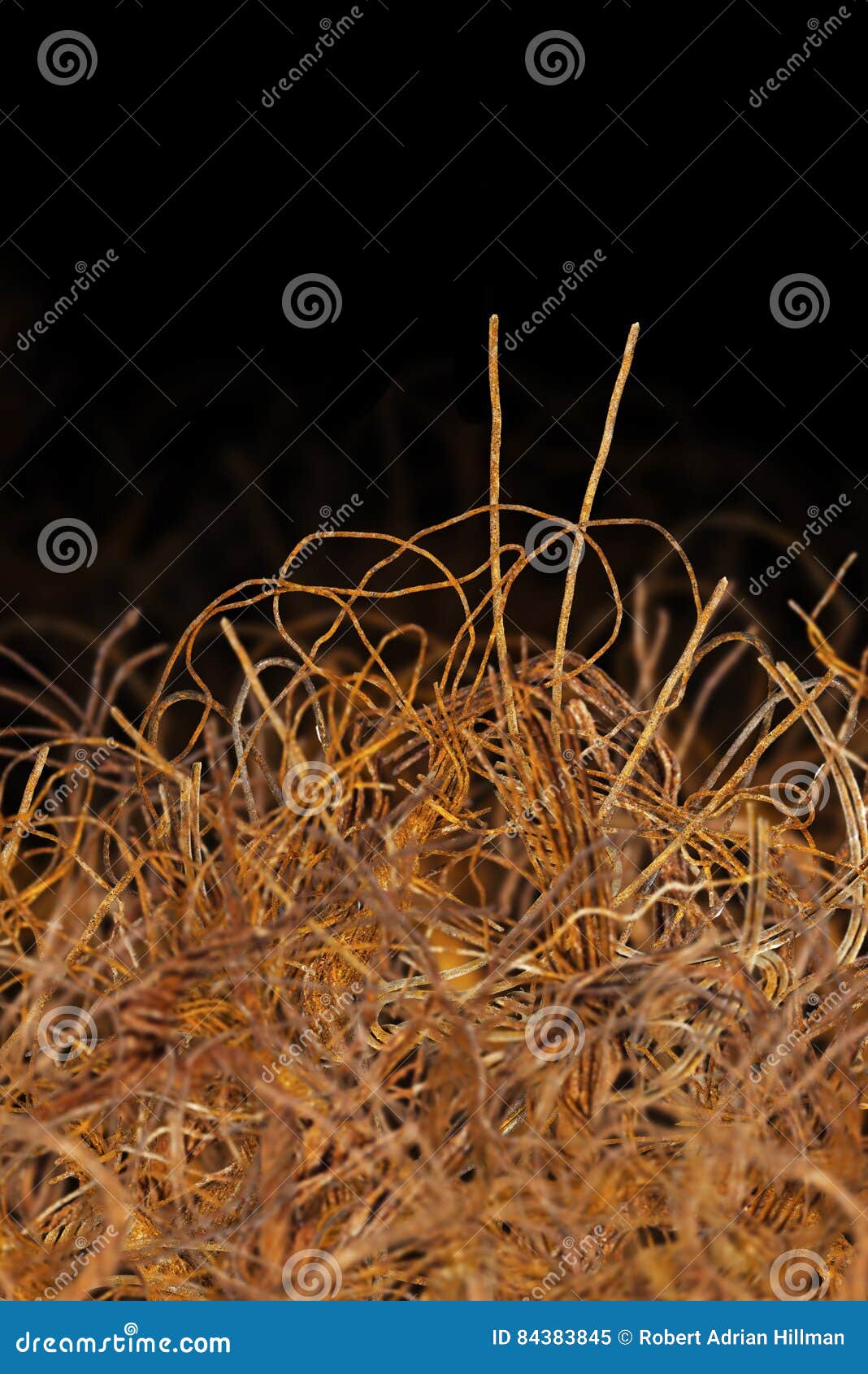 Tangled rusty wire stock image. Image of space, mess - 84383845