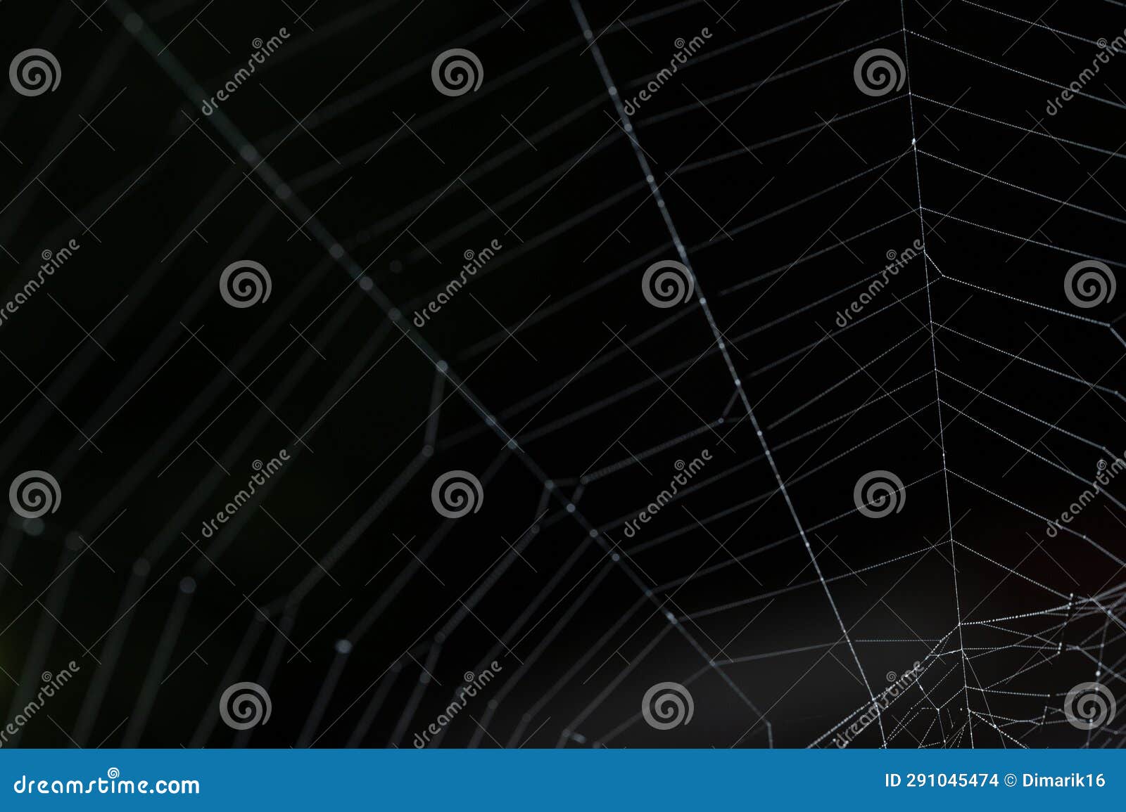 Tangled spider web stock photo. Image of closeup, spiderweb - 291045474