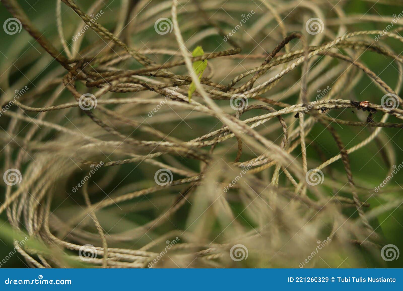 Tangled Thread Image, Blur Effect Abstract Wallpaper Background Stock ...