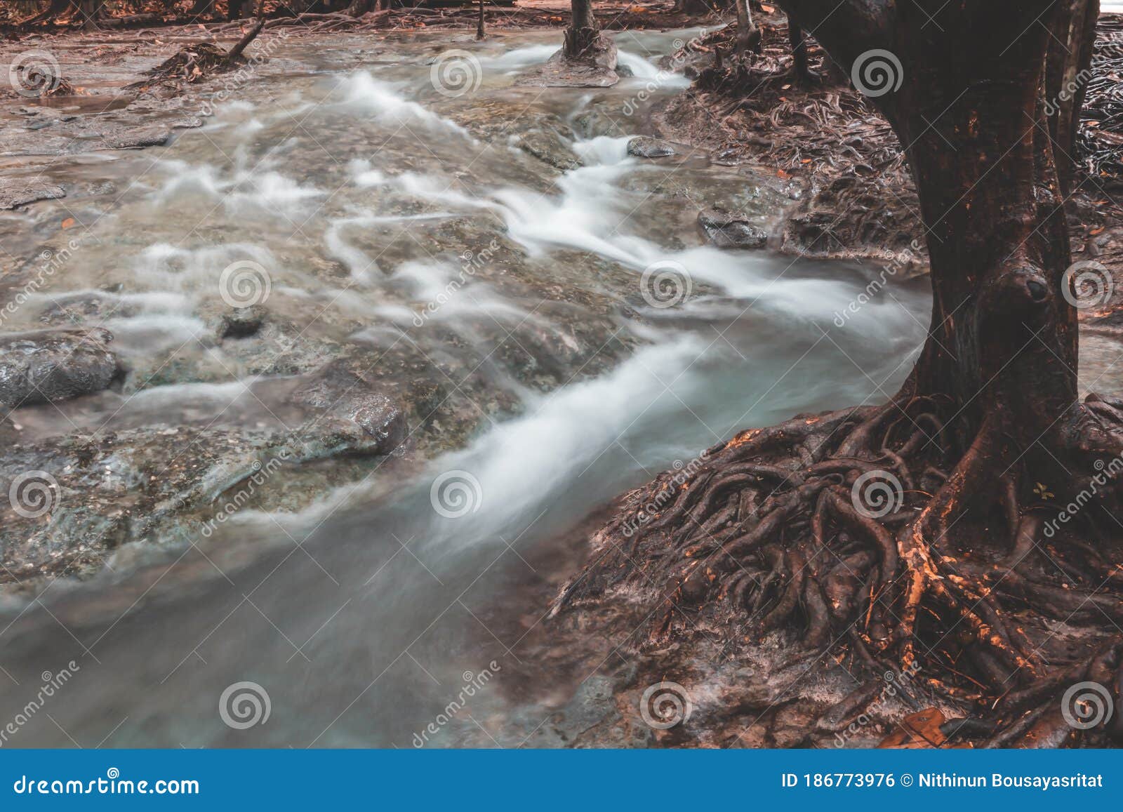 Tangled Tree Tension Royalty-Free Stock Photo | CartoonDealer.com ...