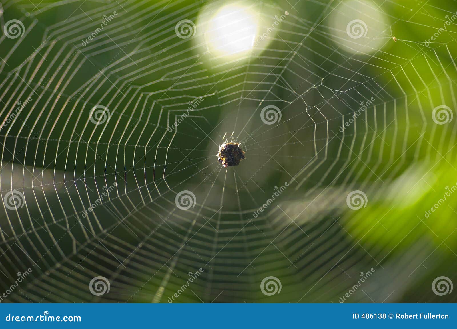 Tangled web stock photo. Image of geometrey, design, communication - 486138