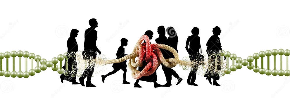 A Tangled Web of Ancestry and Genetics: a Visual Representation of ... A Tangled Web of Ancestry and Genetics: a Visual Representation of ...
