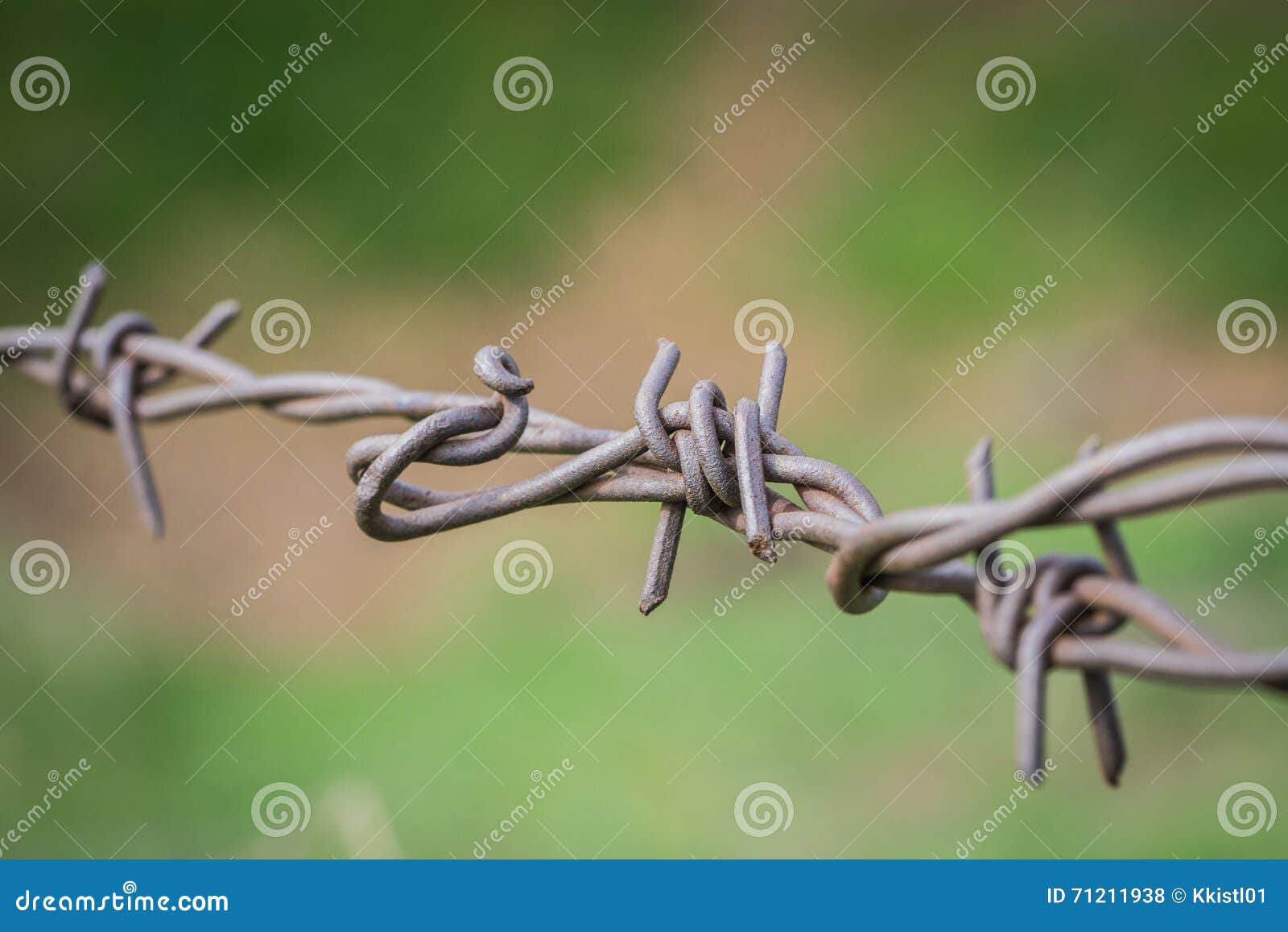 Tangled Web of Barbed Wire stock photo. Image of safety - 71211938