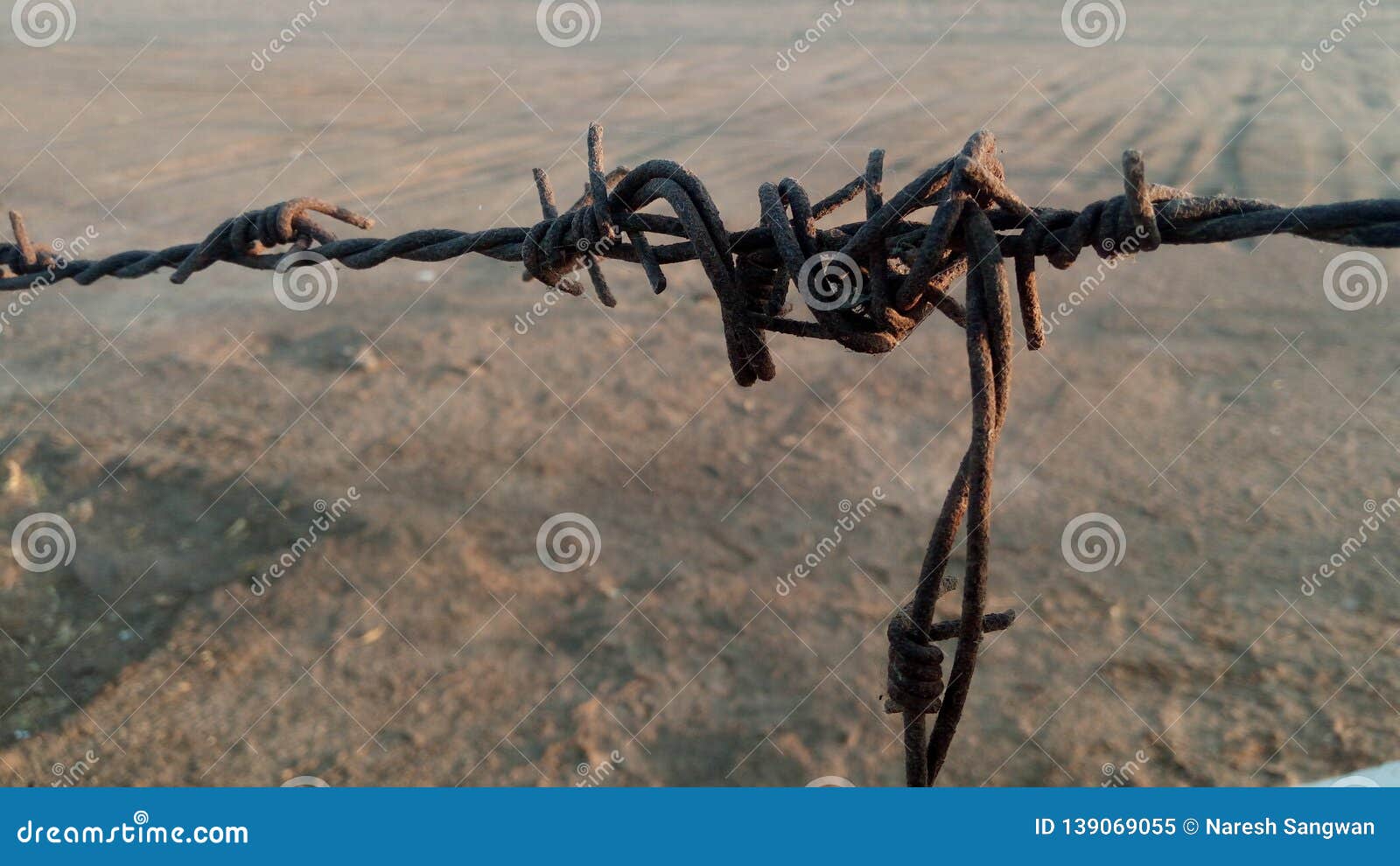 Tangled wire stock image. Image of park, miscellaneous - 139069055