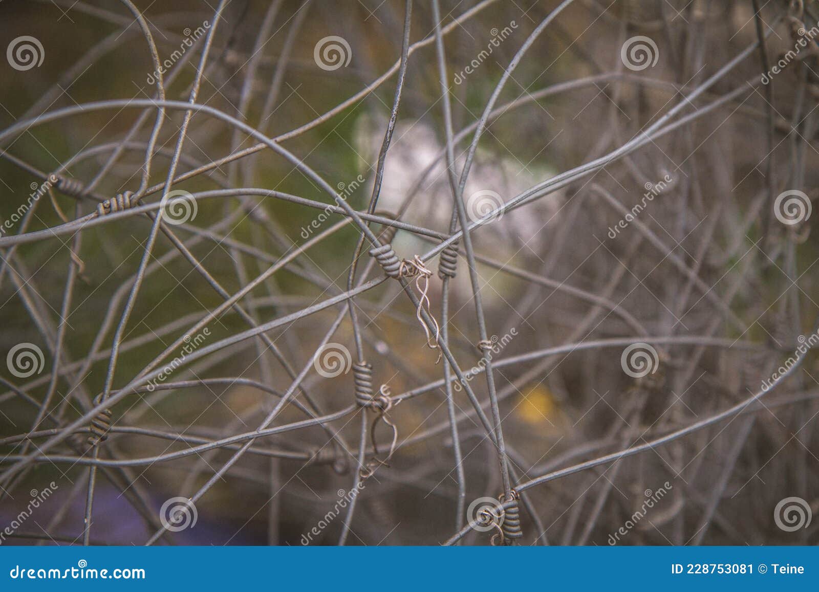 Tangled wire stock image. Image of metal, concept, technical - 228753081