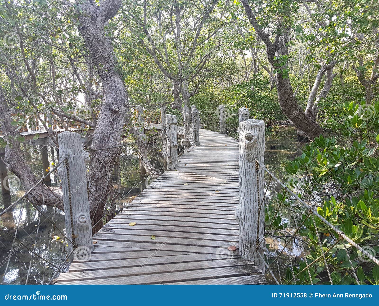 Tanjay Boardwalk stock photo. Image of pathway, philippines - 71912558