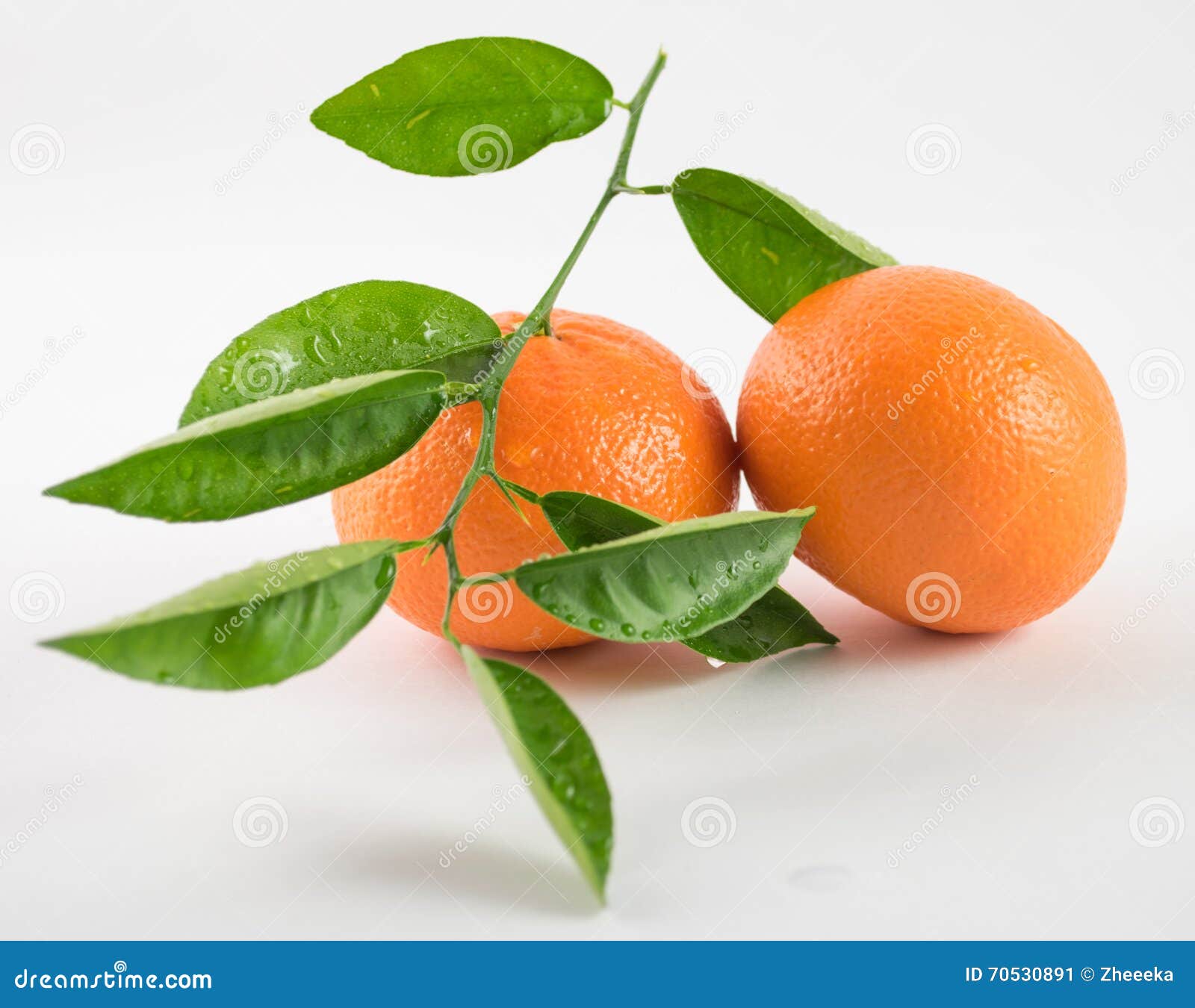 Tanjerina Dois (tangerinas) Isolada No Fundo Branco Imagem de Stock ...