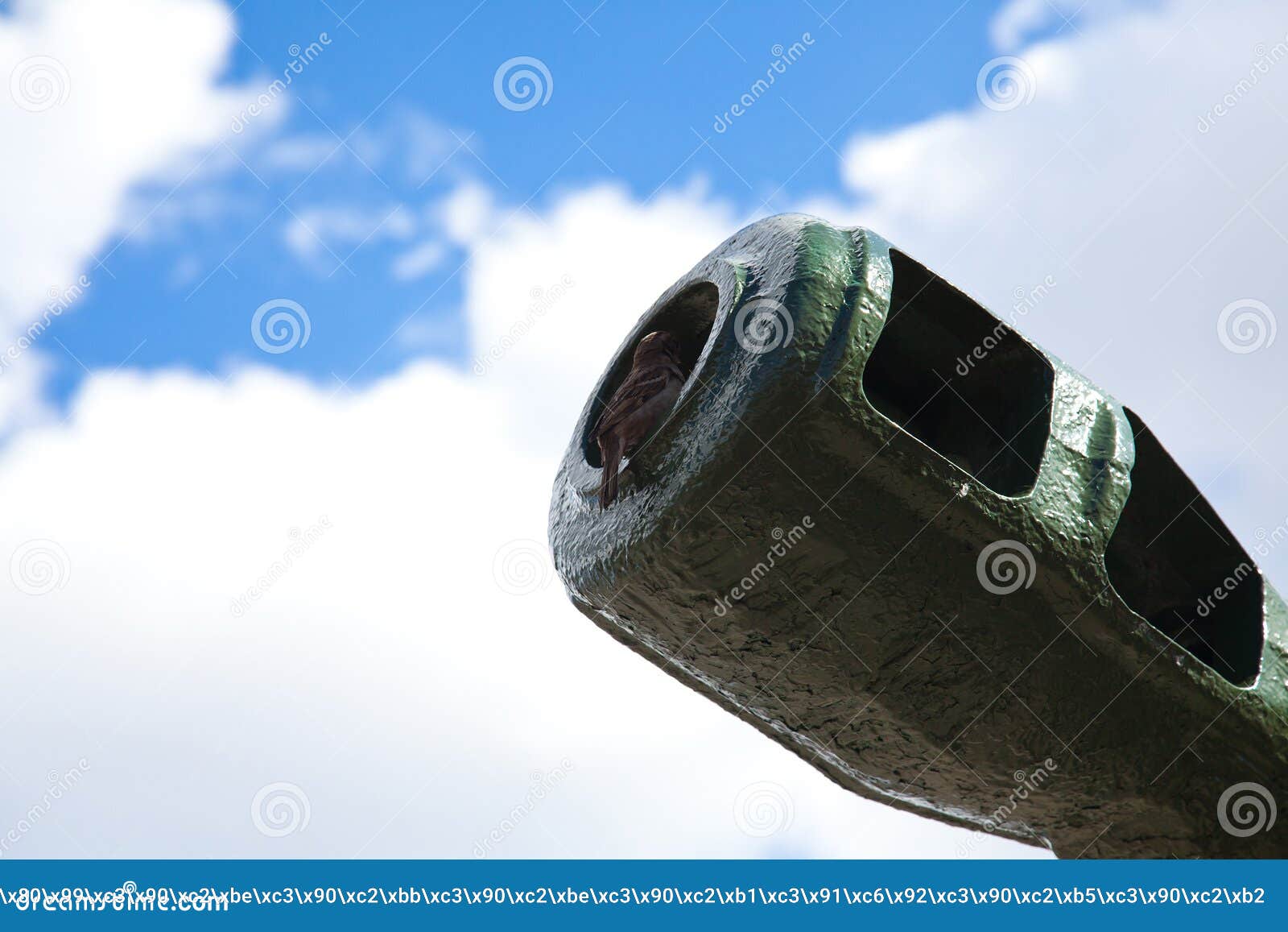 Tank Barrel. Looking At The Camera. Armored Car. Tank Hull And ...