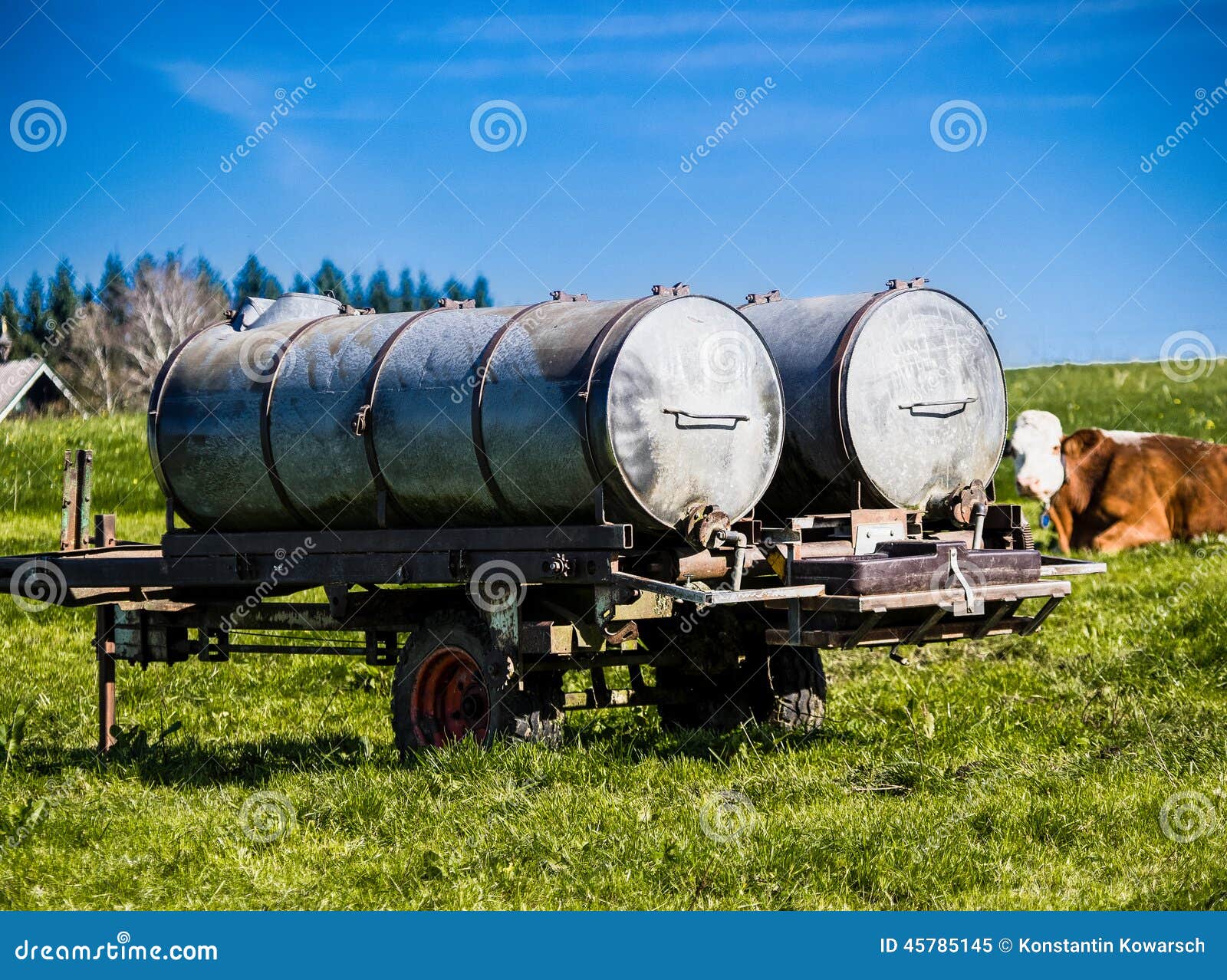 Tank on a field with cow stock image. Image of brown - 45785145
