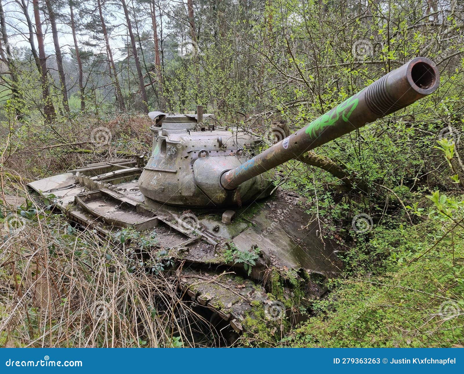 Tank in the forest stock image. Image of waterway, weapon - 279363263