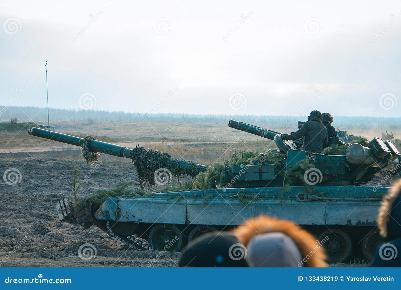 A Tank Hidden Behind Pine Trees in Polygon Editorial Stock Image ...