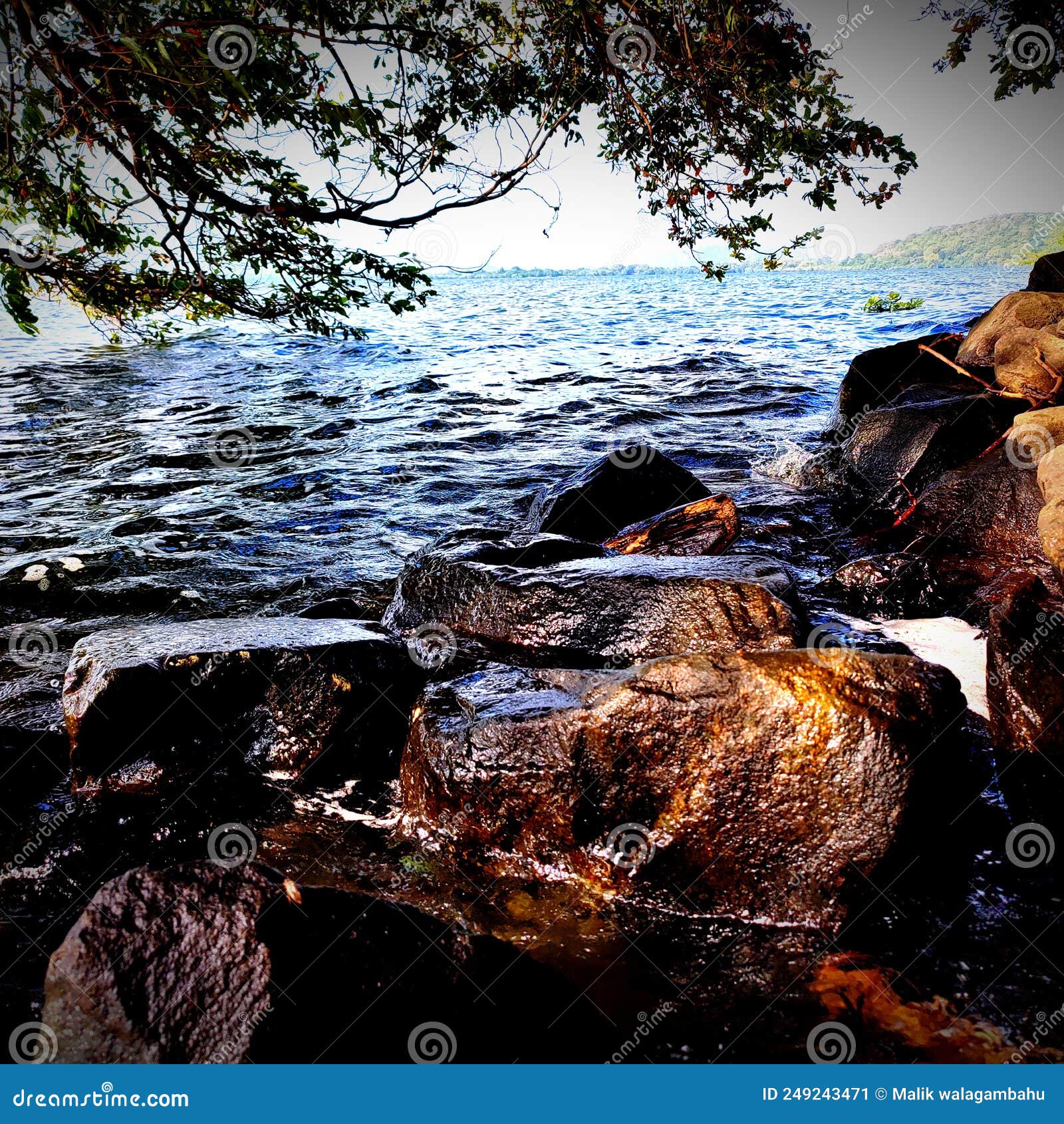 Tank and rock stock image. Image of river, tree, wave - 249243471