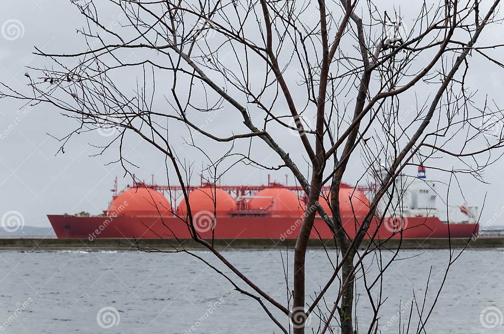 TANKER and TREE stock image. Image of ocean, freight - 174654781